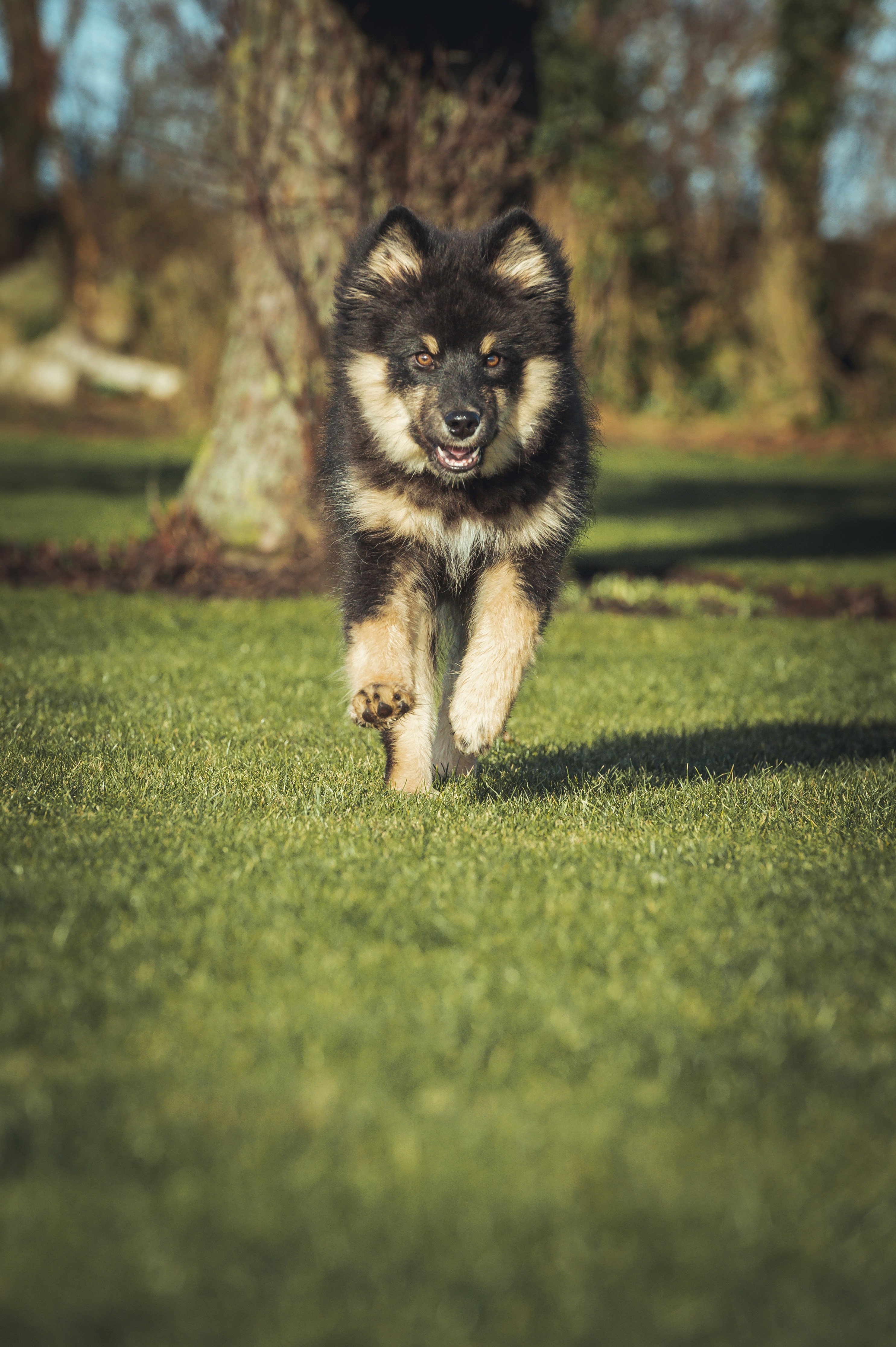 Photo by Jan Gustavsson with Nikon D4