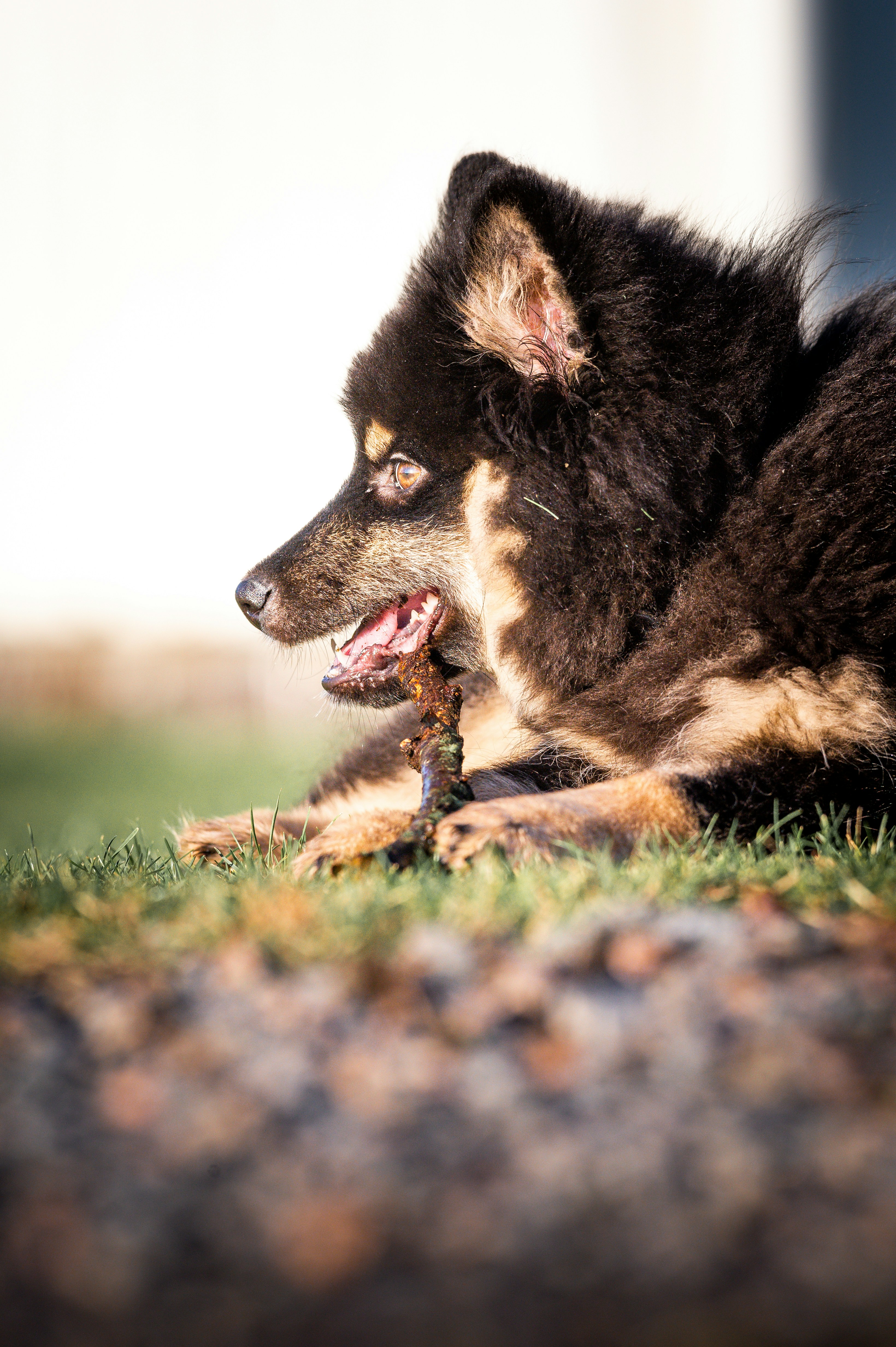 Photo by Jan Gustavsson with Nikon D4
