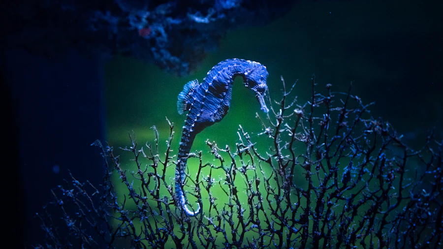 A blue seahorse floats above dark coral branches against a glowing green underwater background. The scene has a moody, low-light reef atmosphere.