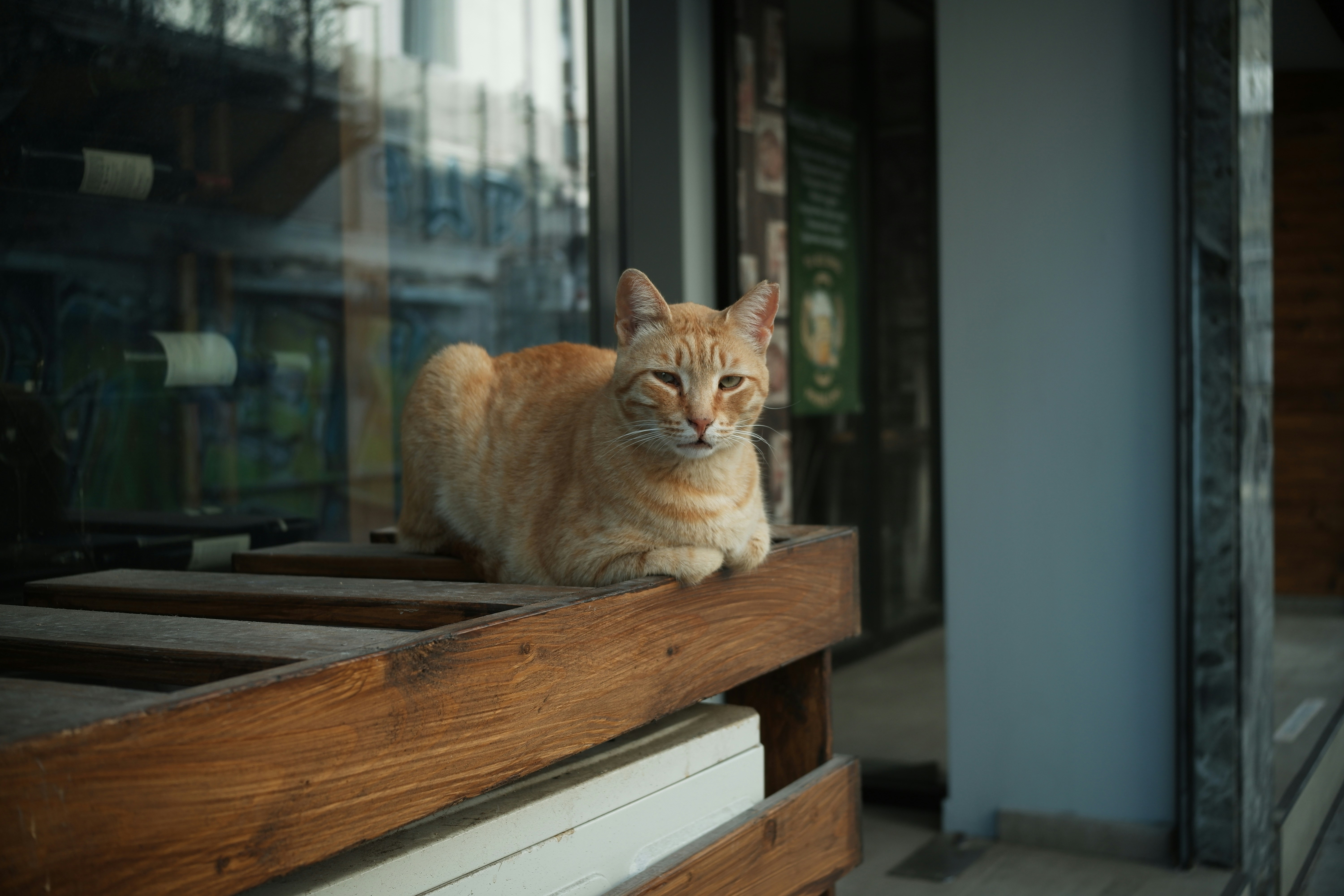 Sample photo from Fujifilm X-T200