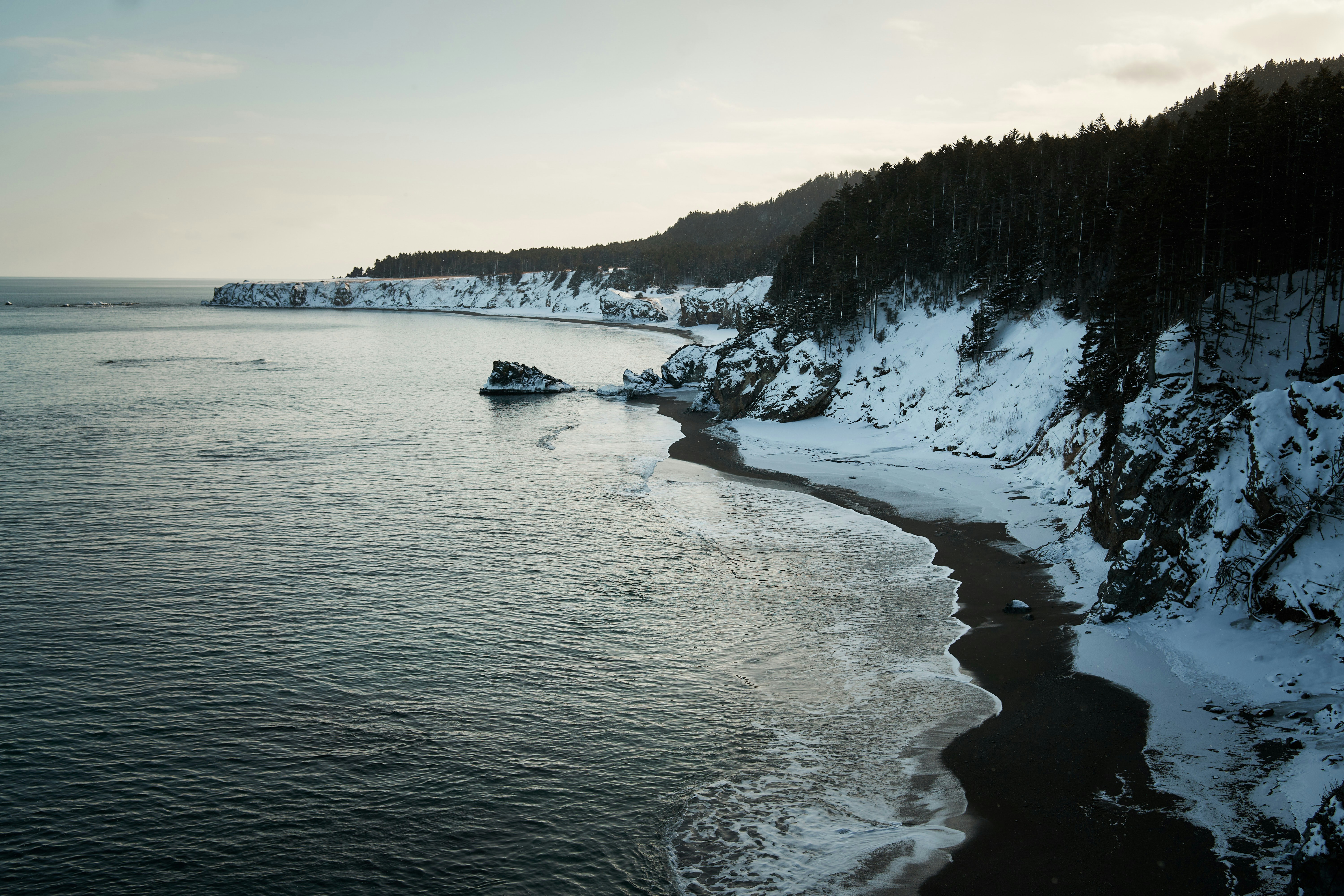 A beach covered in snow next to a forest photo – Free Water Image on ...