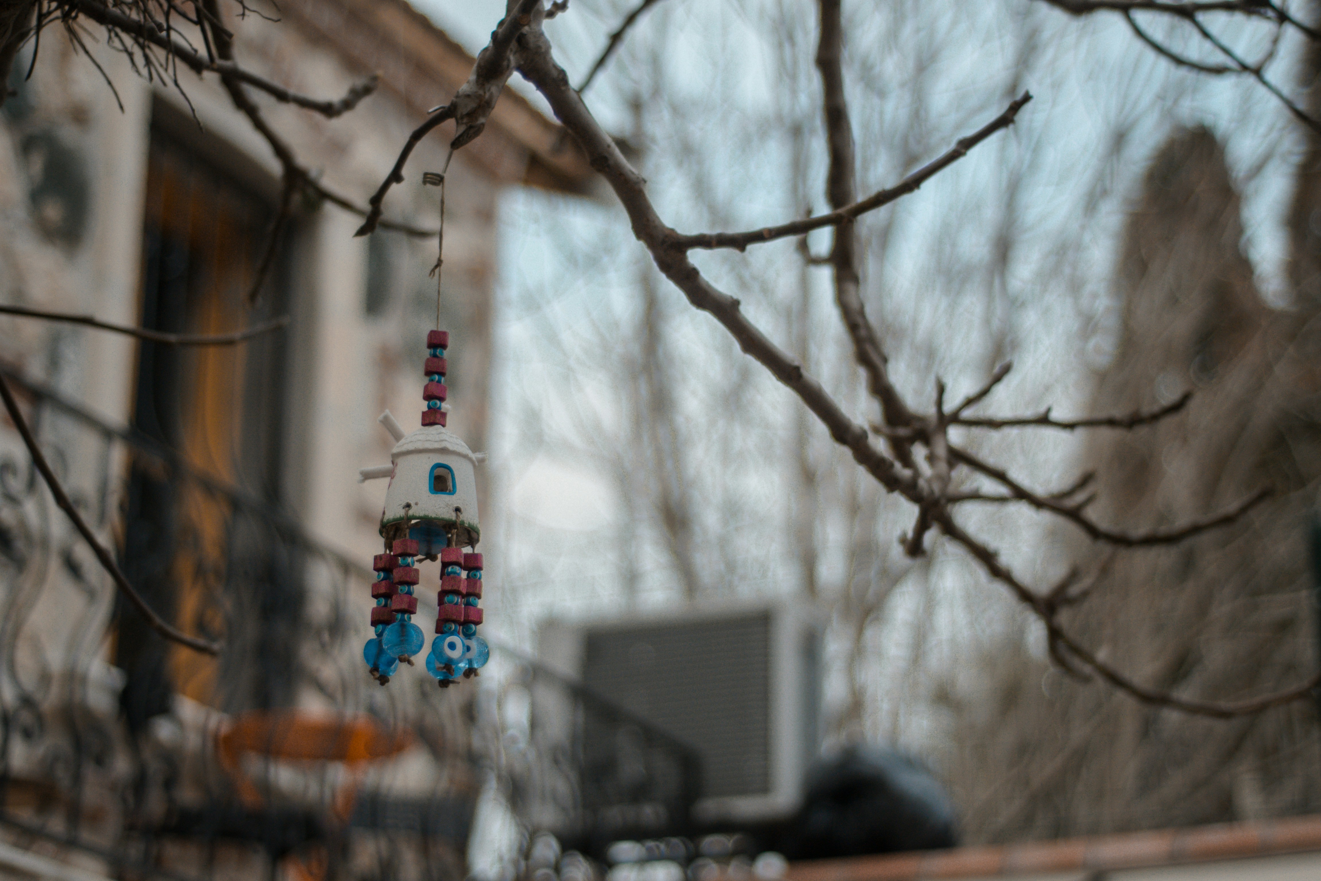 Beaded Charm on a Winter Branch: Crisp Foreground, Soft-Blurred Porch