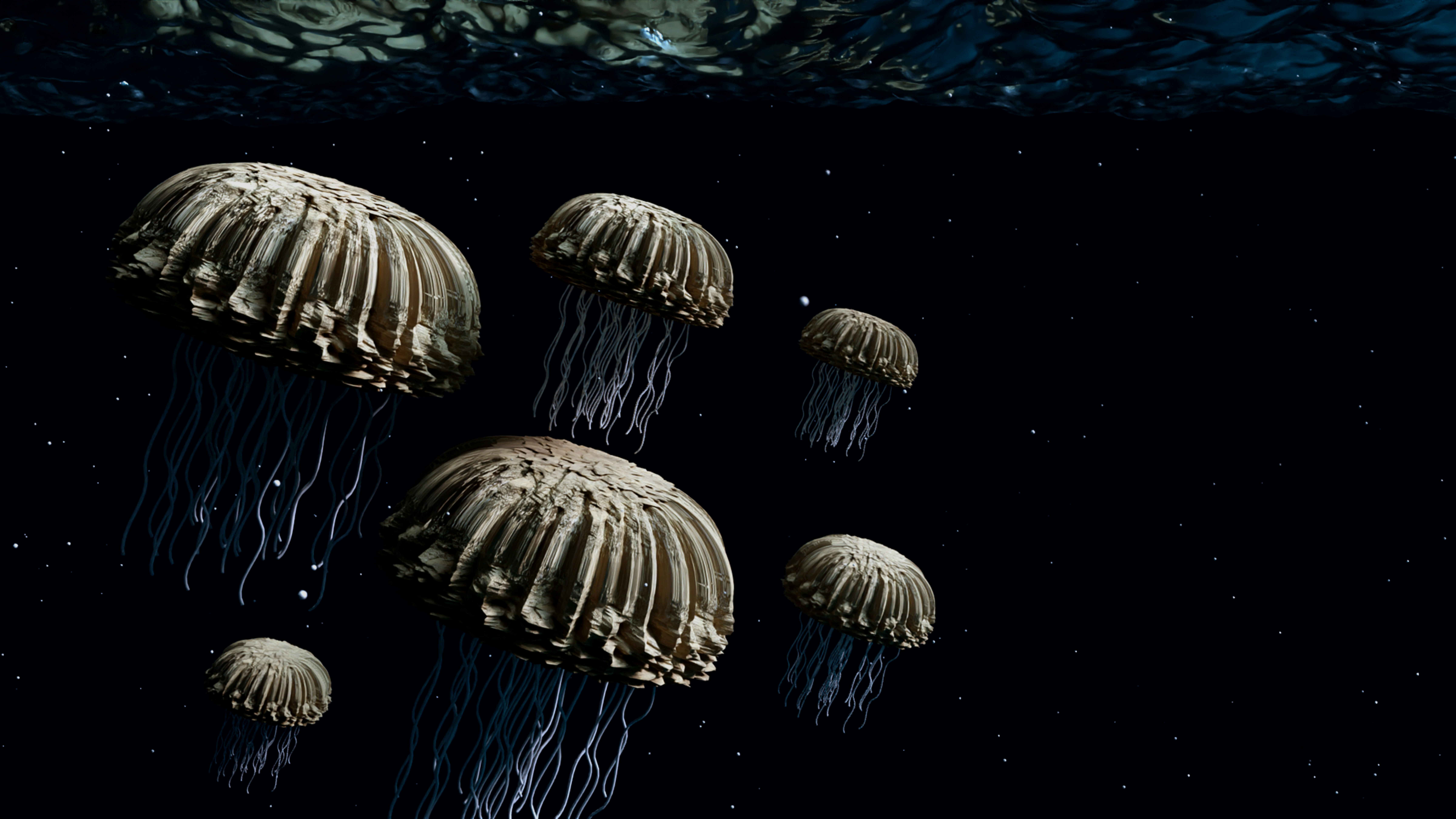 A group of jellyfish floating in the water photo – Free Underwater ...