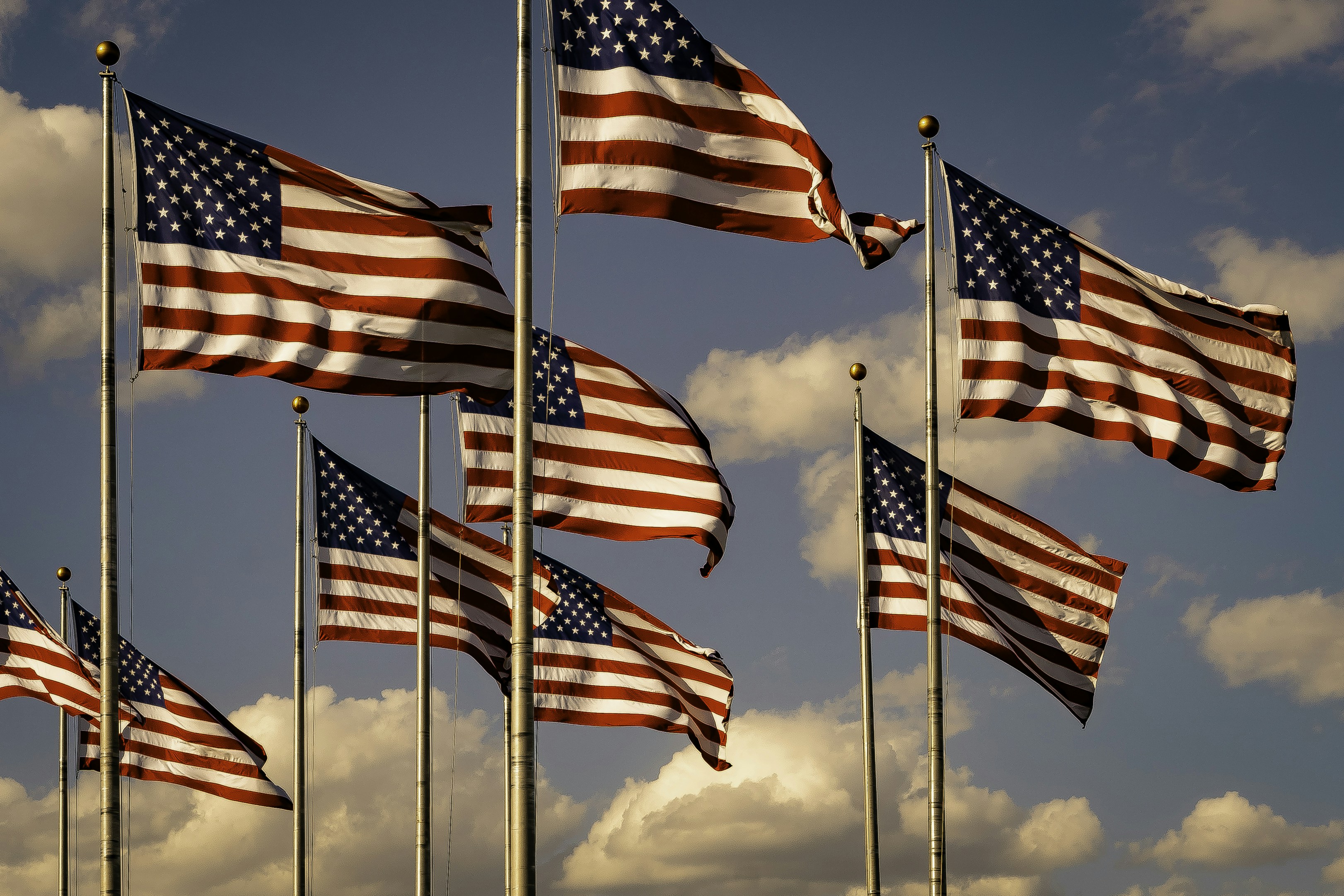 A group of american flags blowing in the wind photo – Free American ...