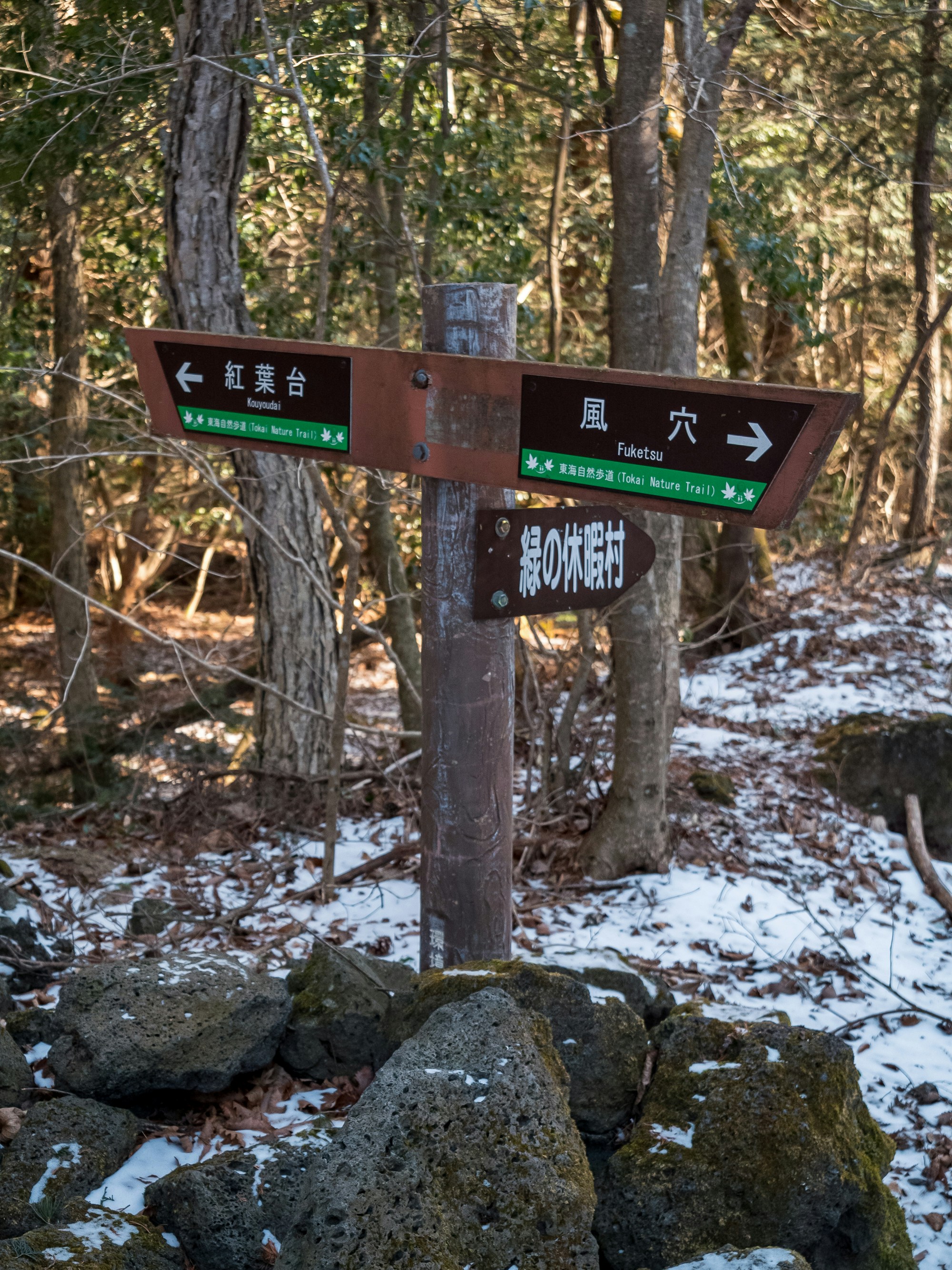 Wooden signpost with directional arrows for hiking trails in a tranquil forest setting, surrounded by snow-dusted rocks and trees.