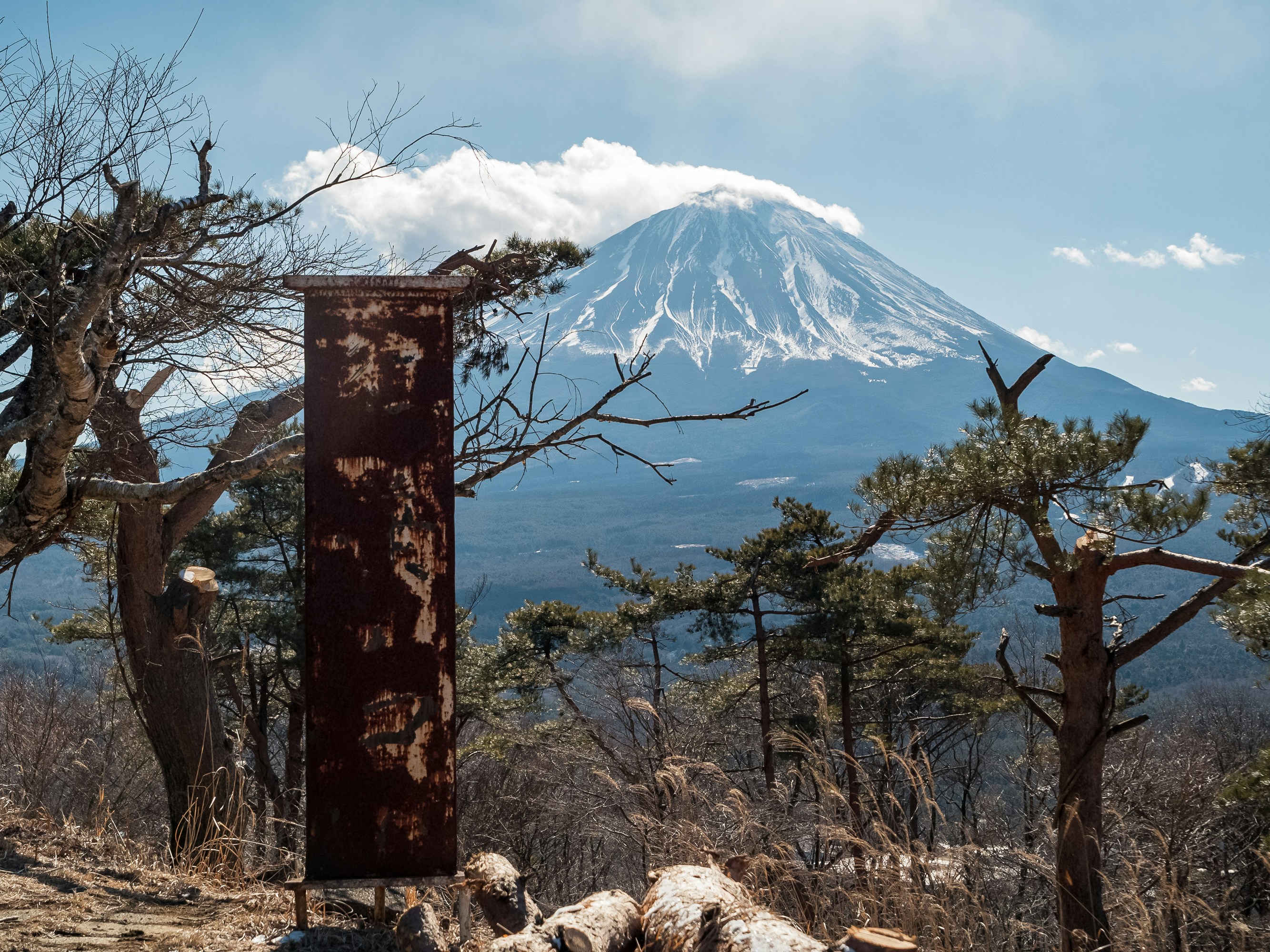 Snow-capped Mount Fuji rises behind a rusted, weather-beaten vertical panel and stark foreground trees.