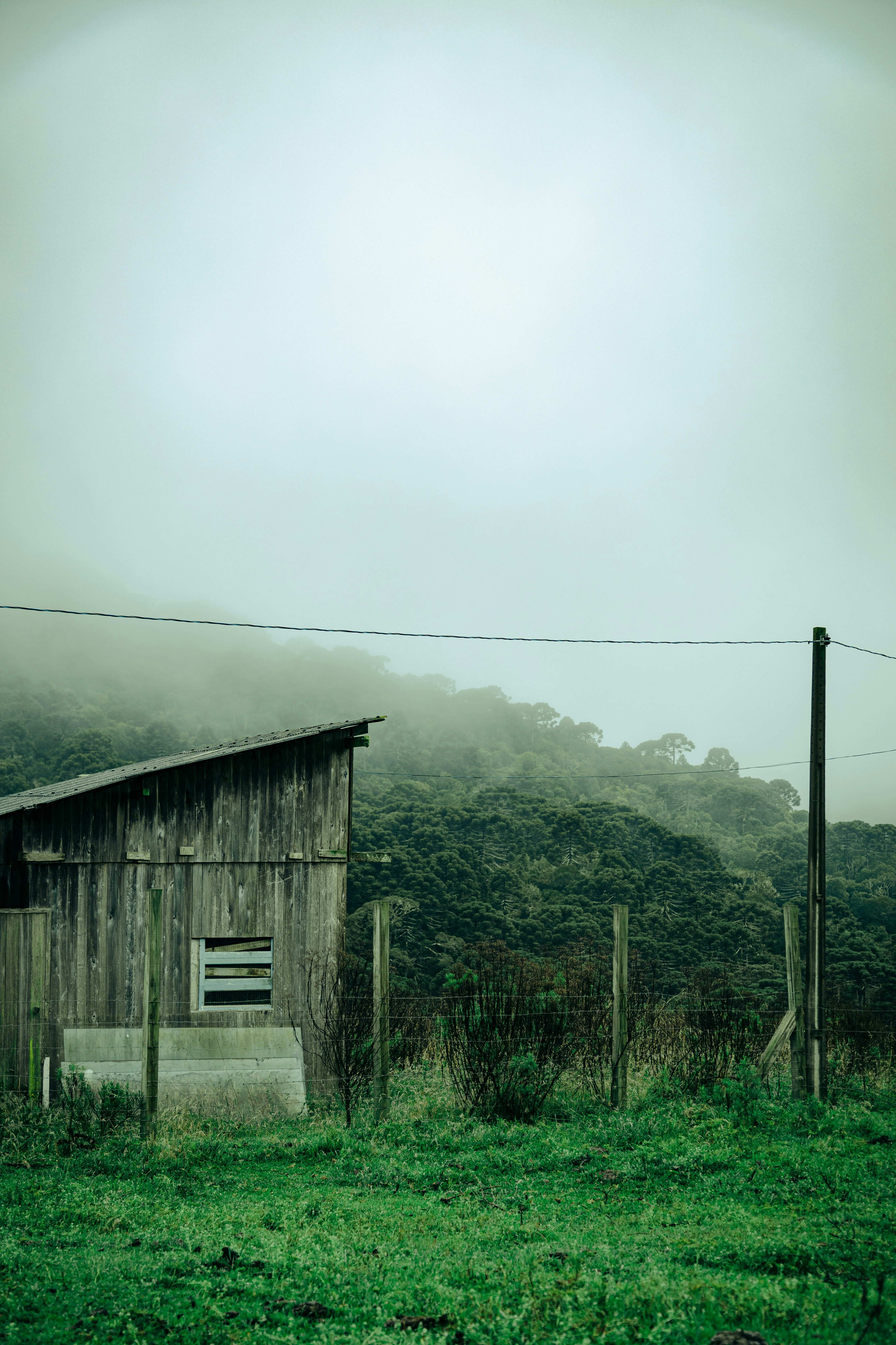 A wooden shack sitting on top of a lush green field photo – Free ...