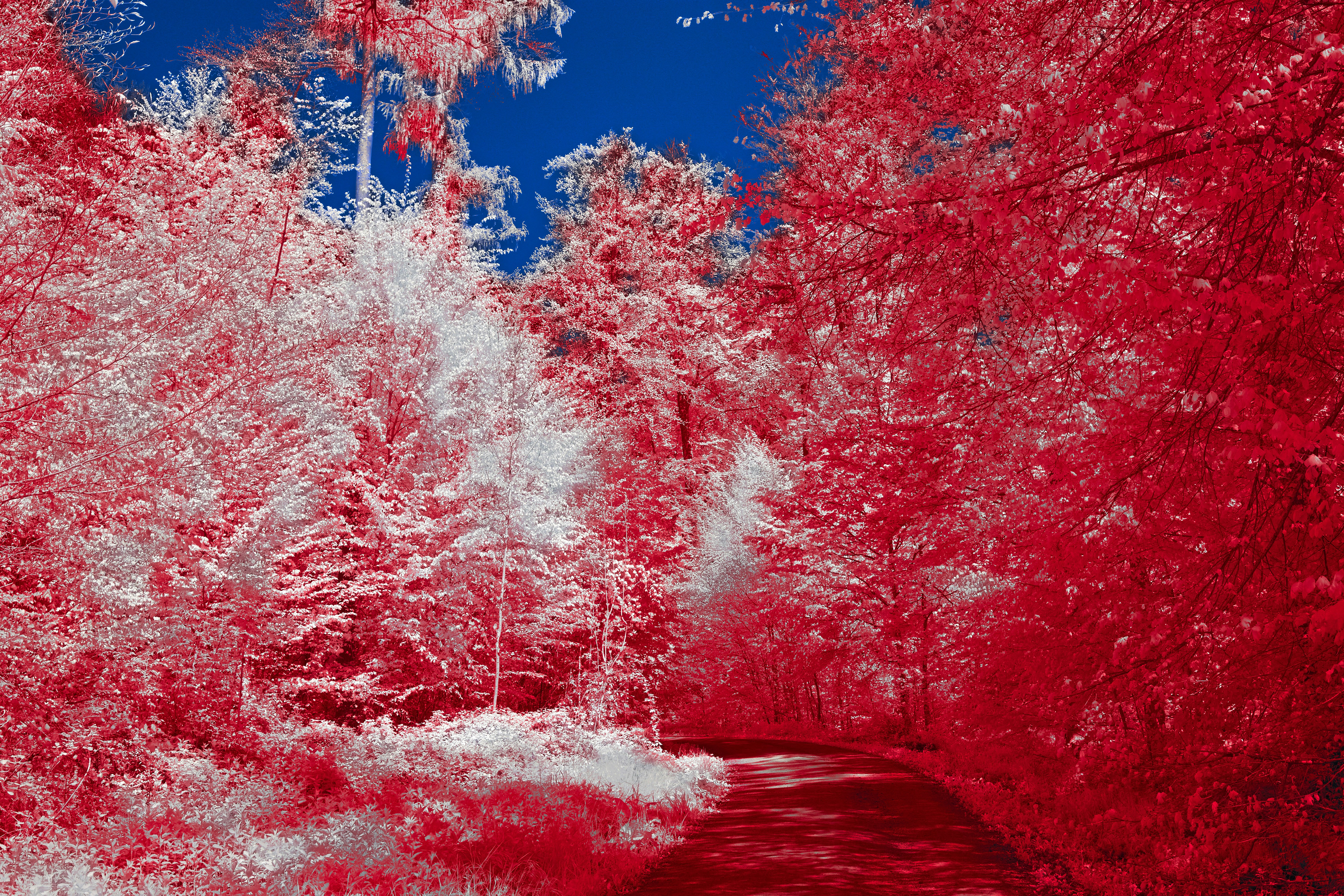 Infrared infrared infrared infrared infrared infrared infrared infrared ...