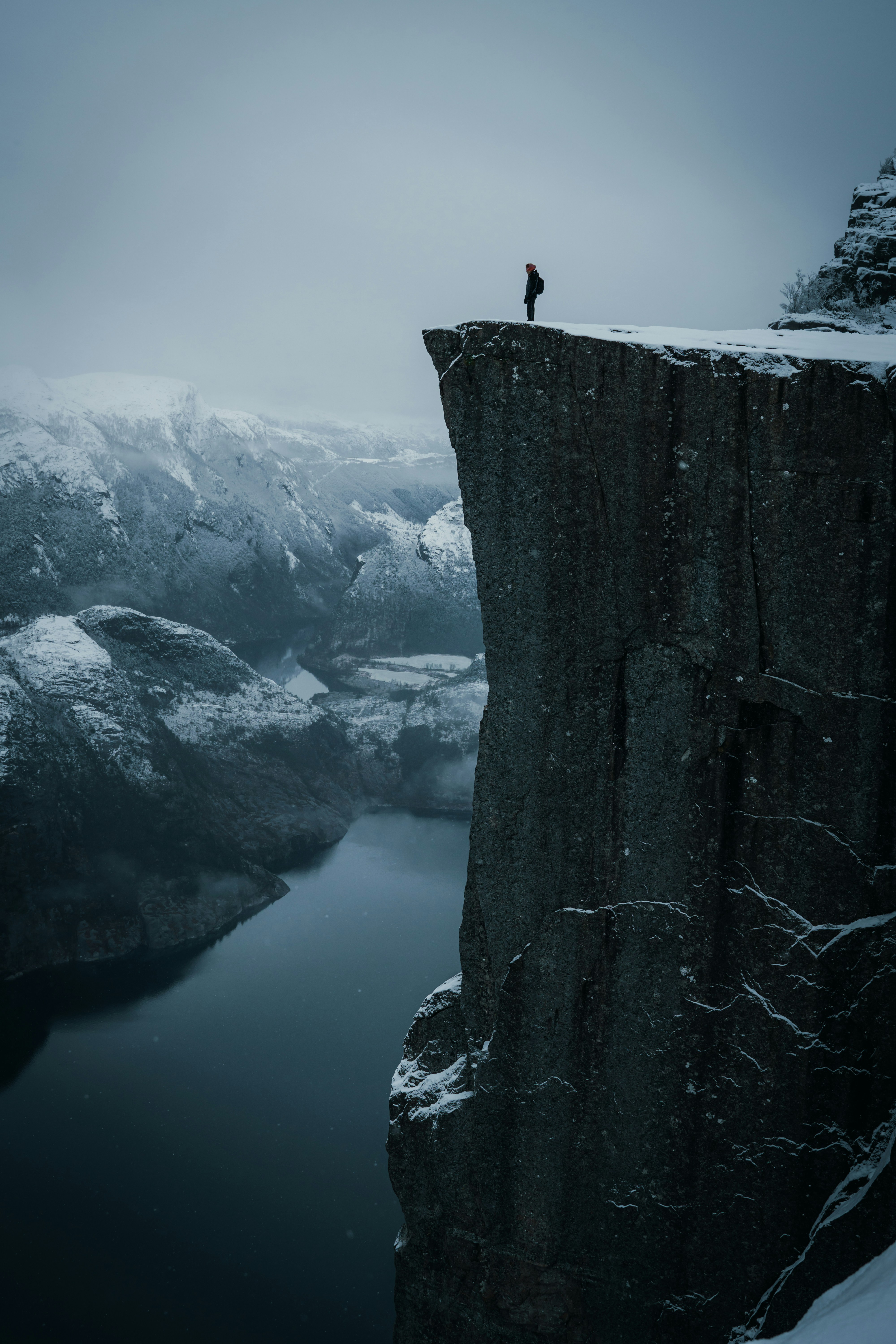 Solitary at the Edge: A Wind-Swept Sentinel on a Snow-Capped Cliff