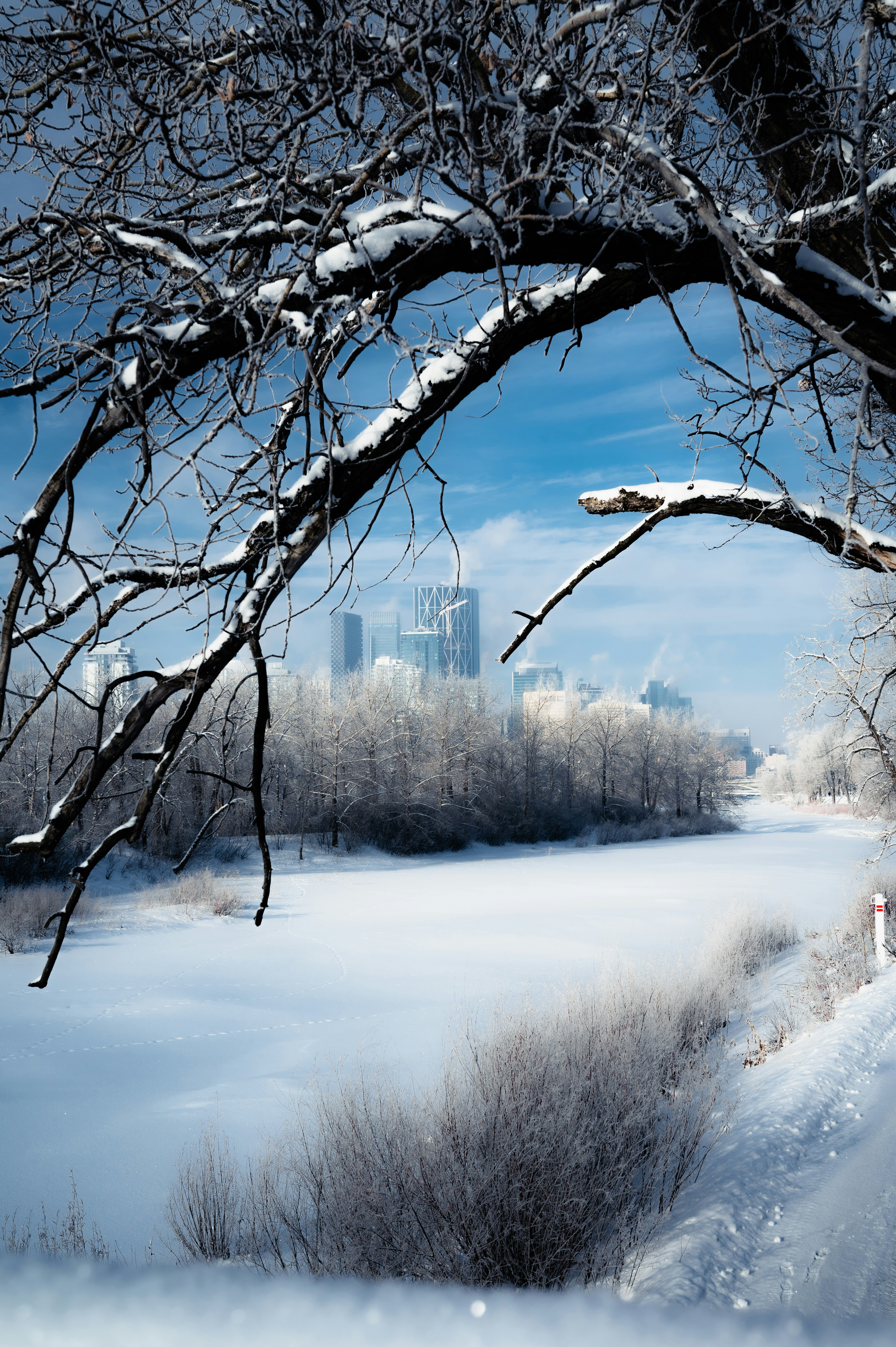 Photo by Ryunosuke Kikuno with Nikon Z6 II