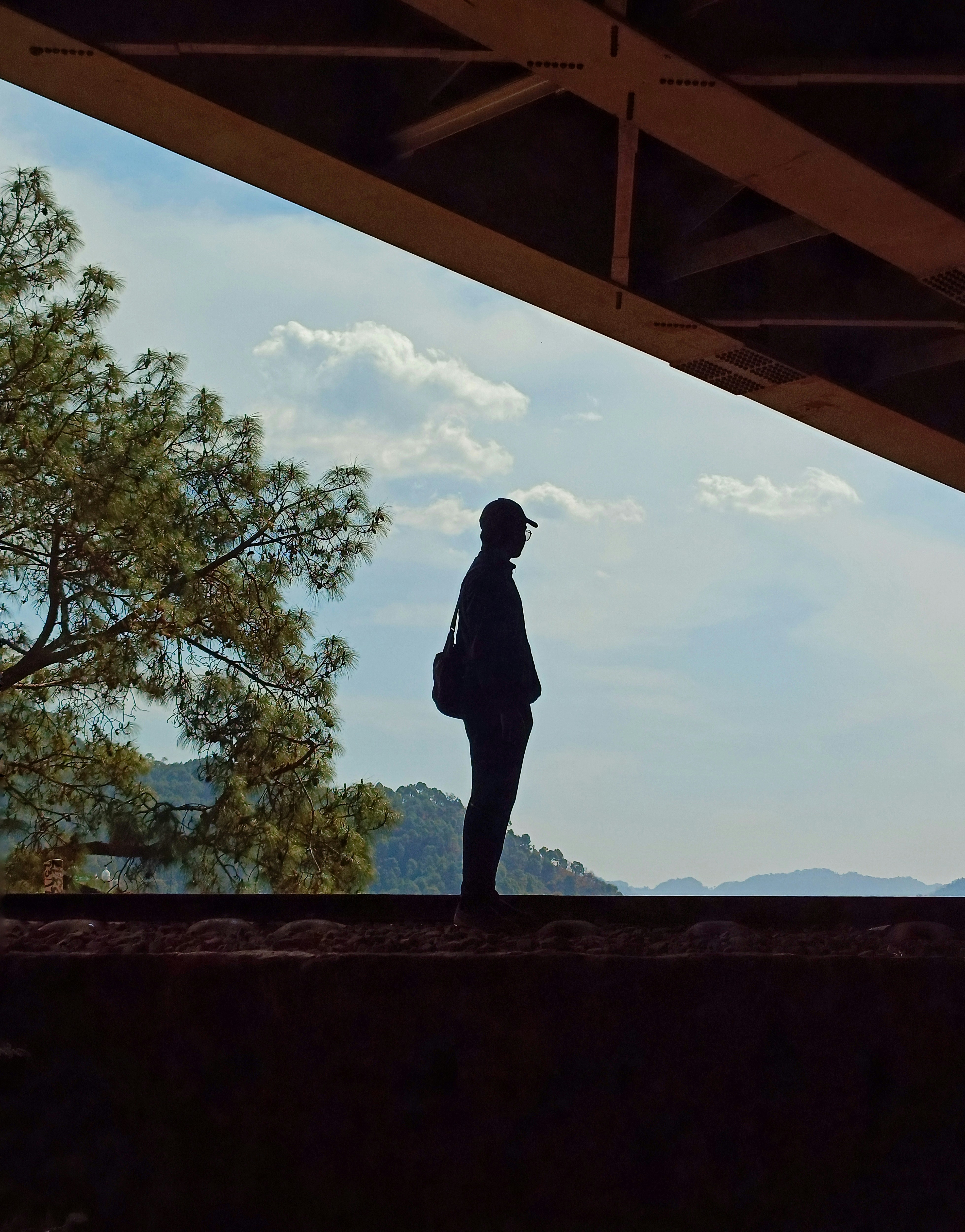 Silhouette of a person standing on a ledge beneath a bridge, with trees and distant hills against a bright sky.