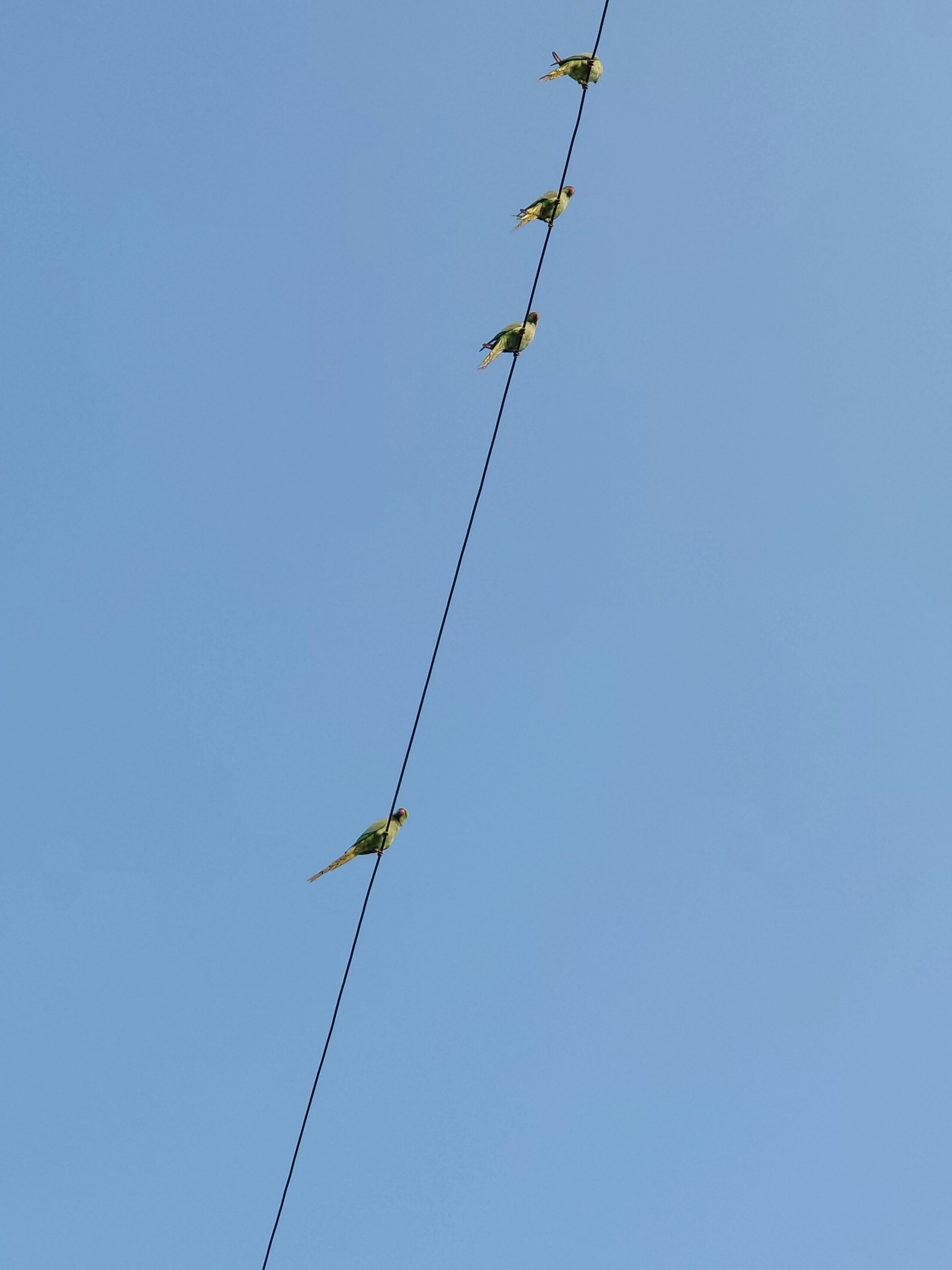 Photo by Antony Hyson Seltran with Sony Xperia 1 II