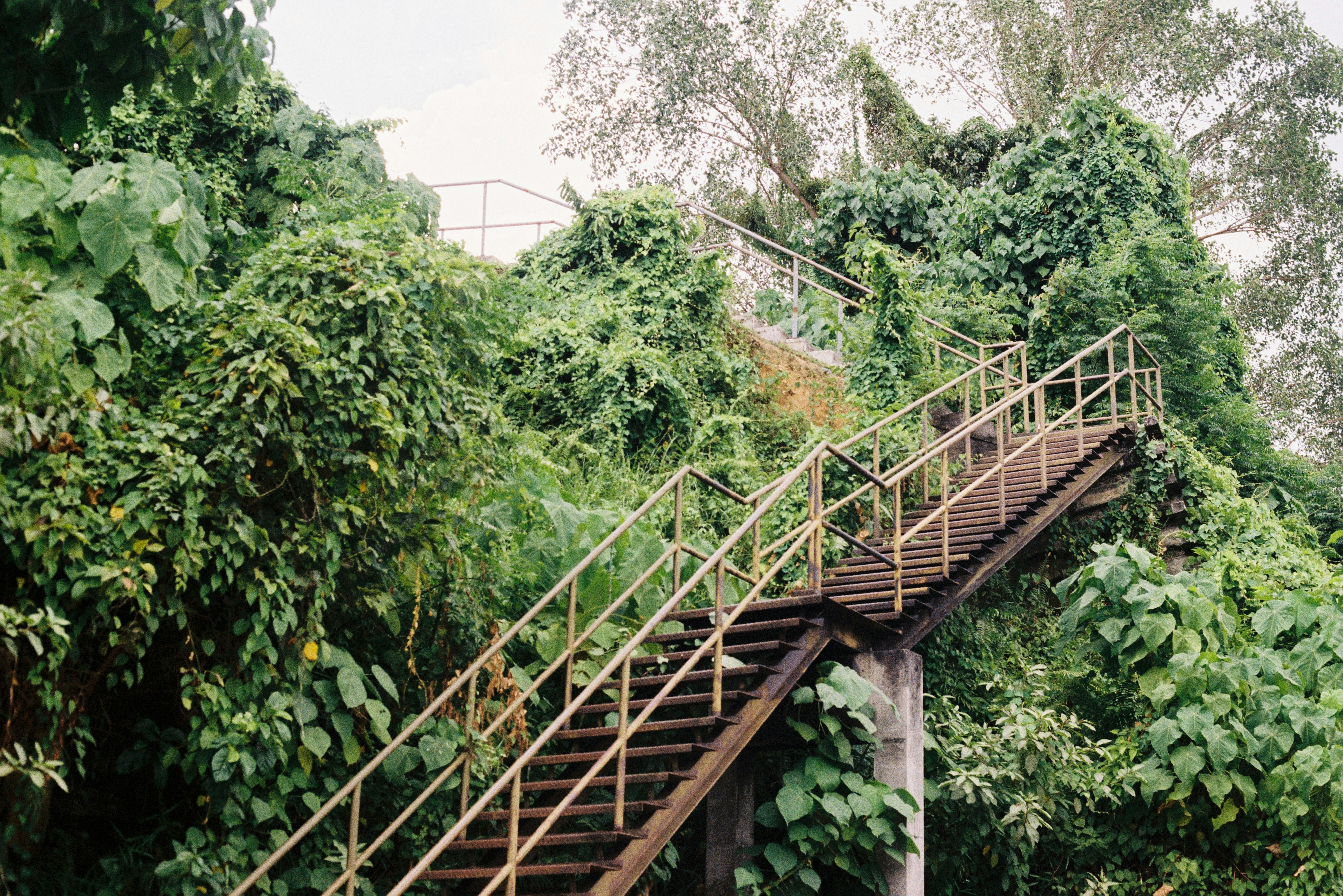 a set of stairs leading up to the top of a hill
