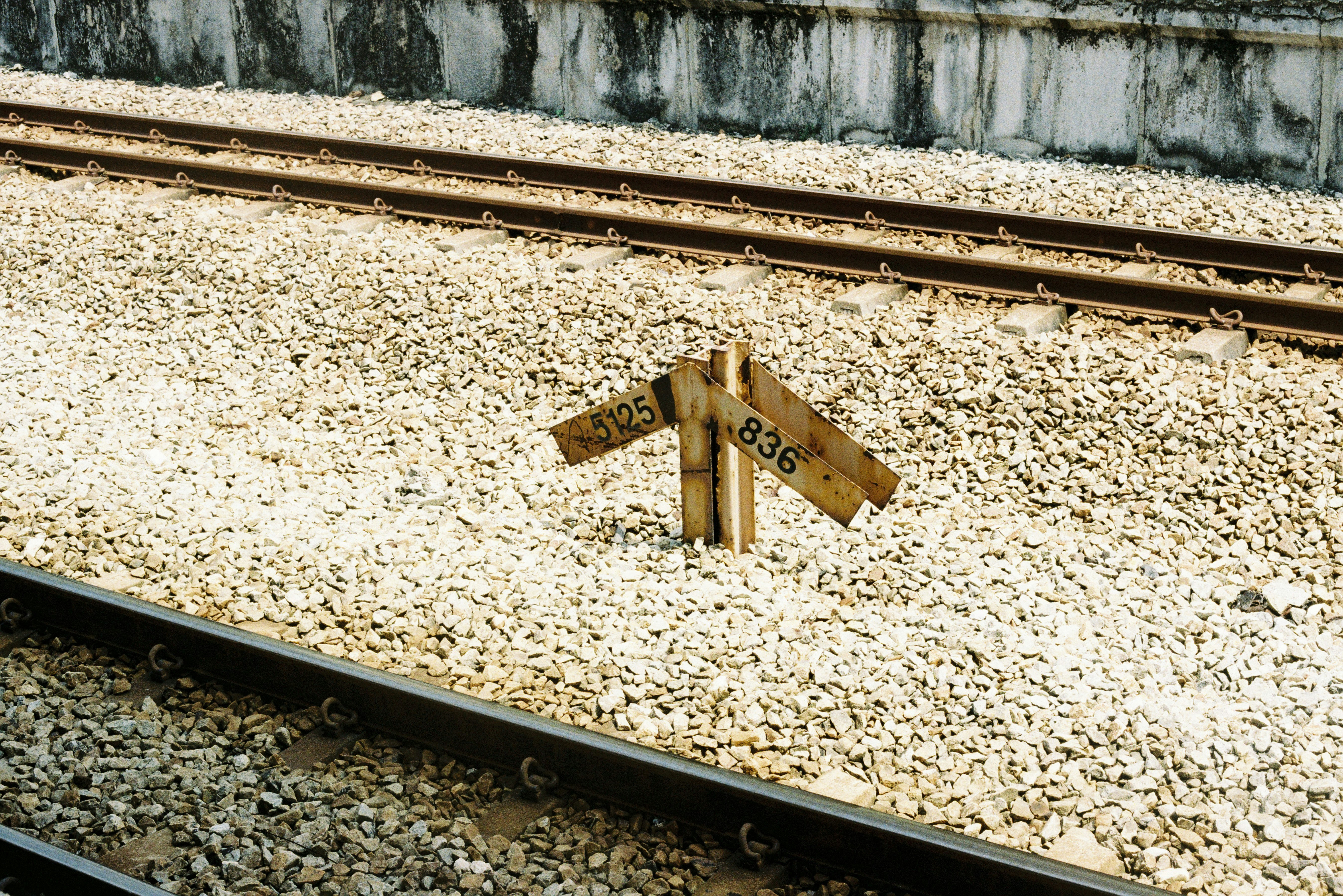 Photo by Izumi Barton with Fujifilm SP500