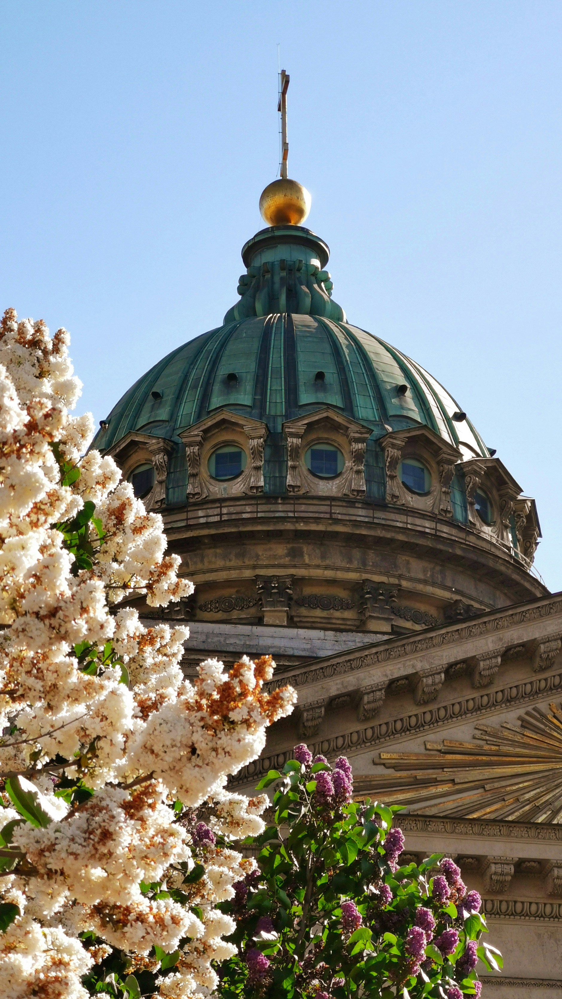 Historic domed building with a green copper roof and gold finial rises above a foreground of white and purple blossoms against a clear blue sky.