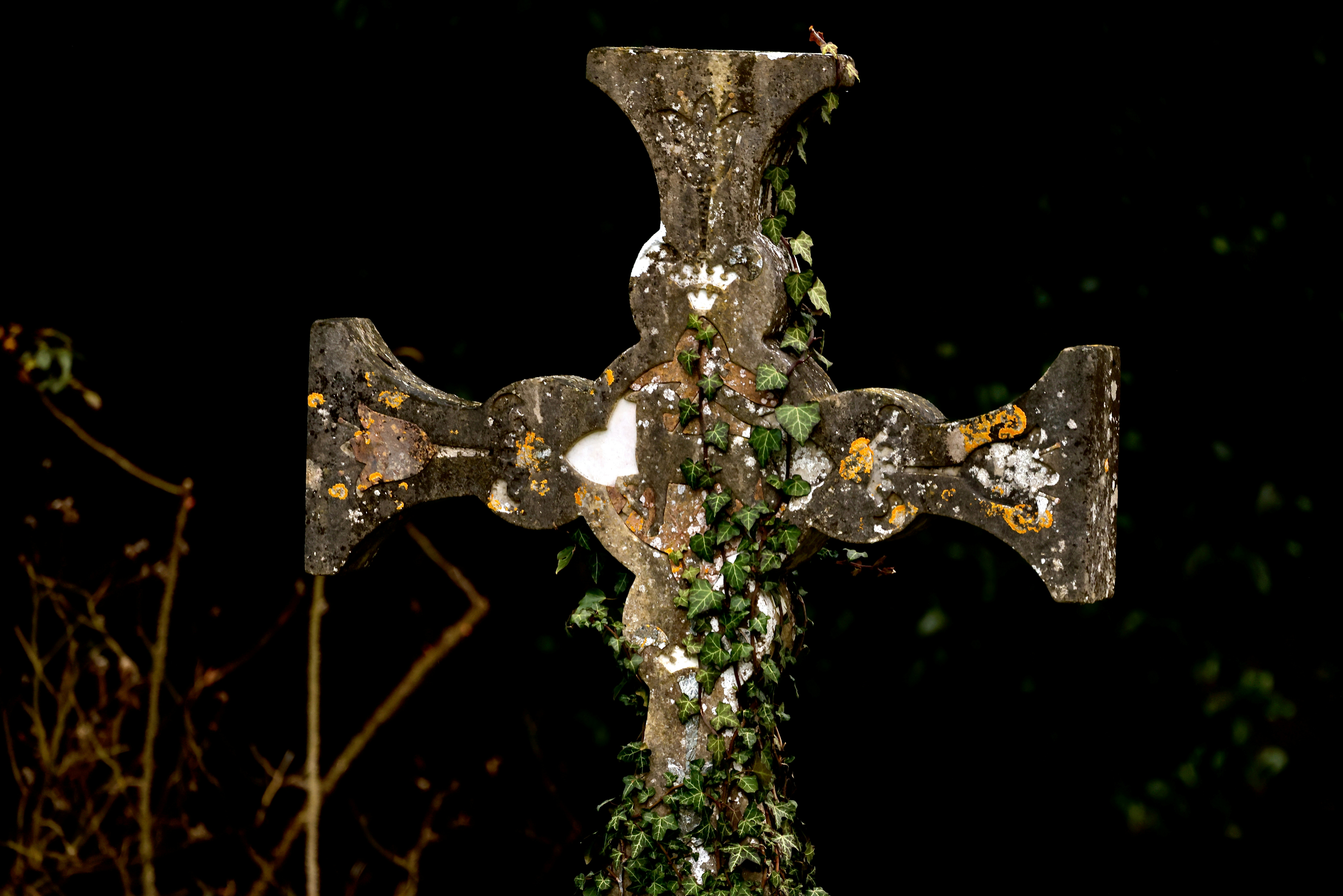 Printable Greenery Cross Pictures | Download Free Images on Unsplash