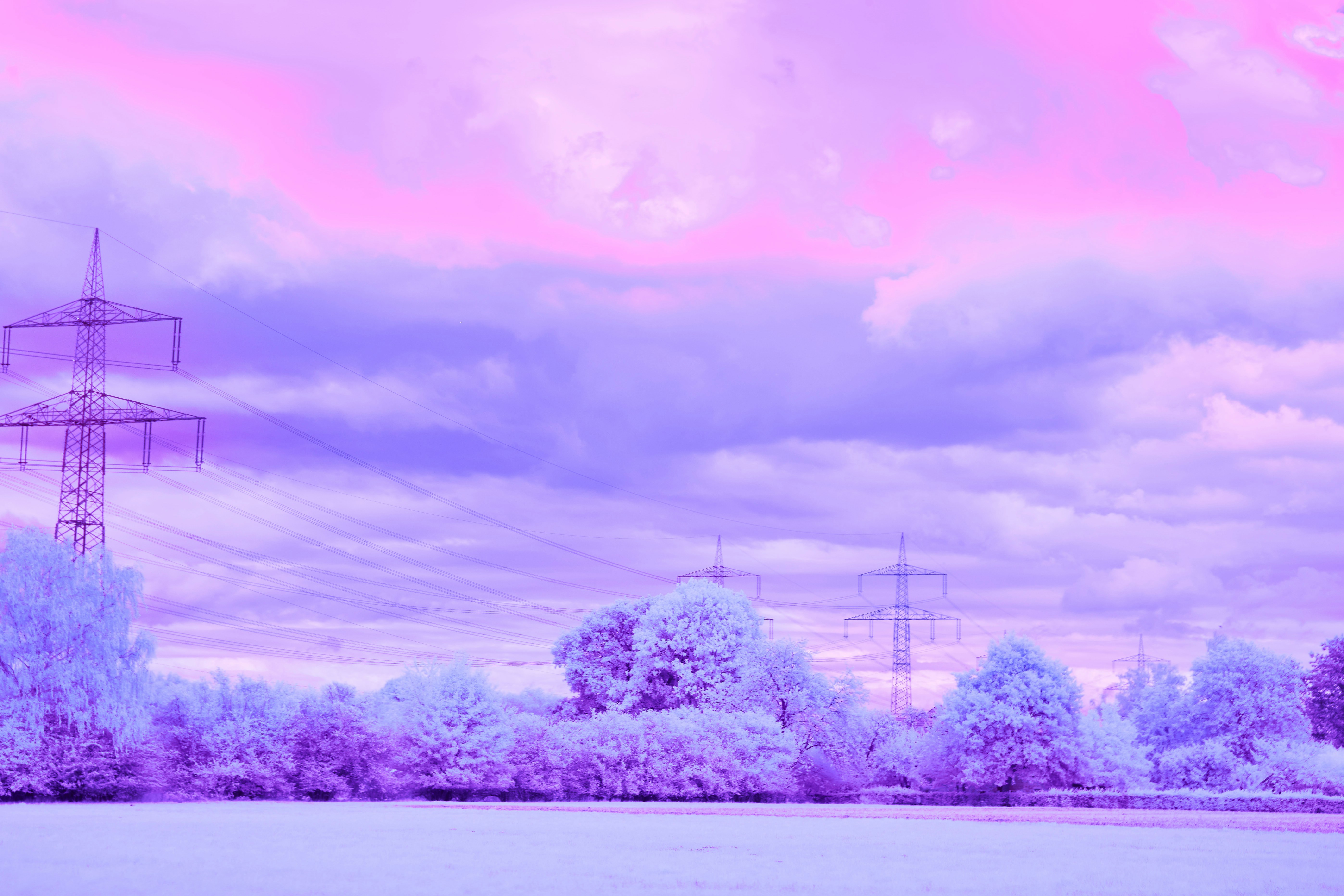 Electric Horizon: Quiet Power Lines Beneath a Violet Sky