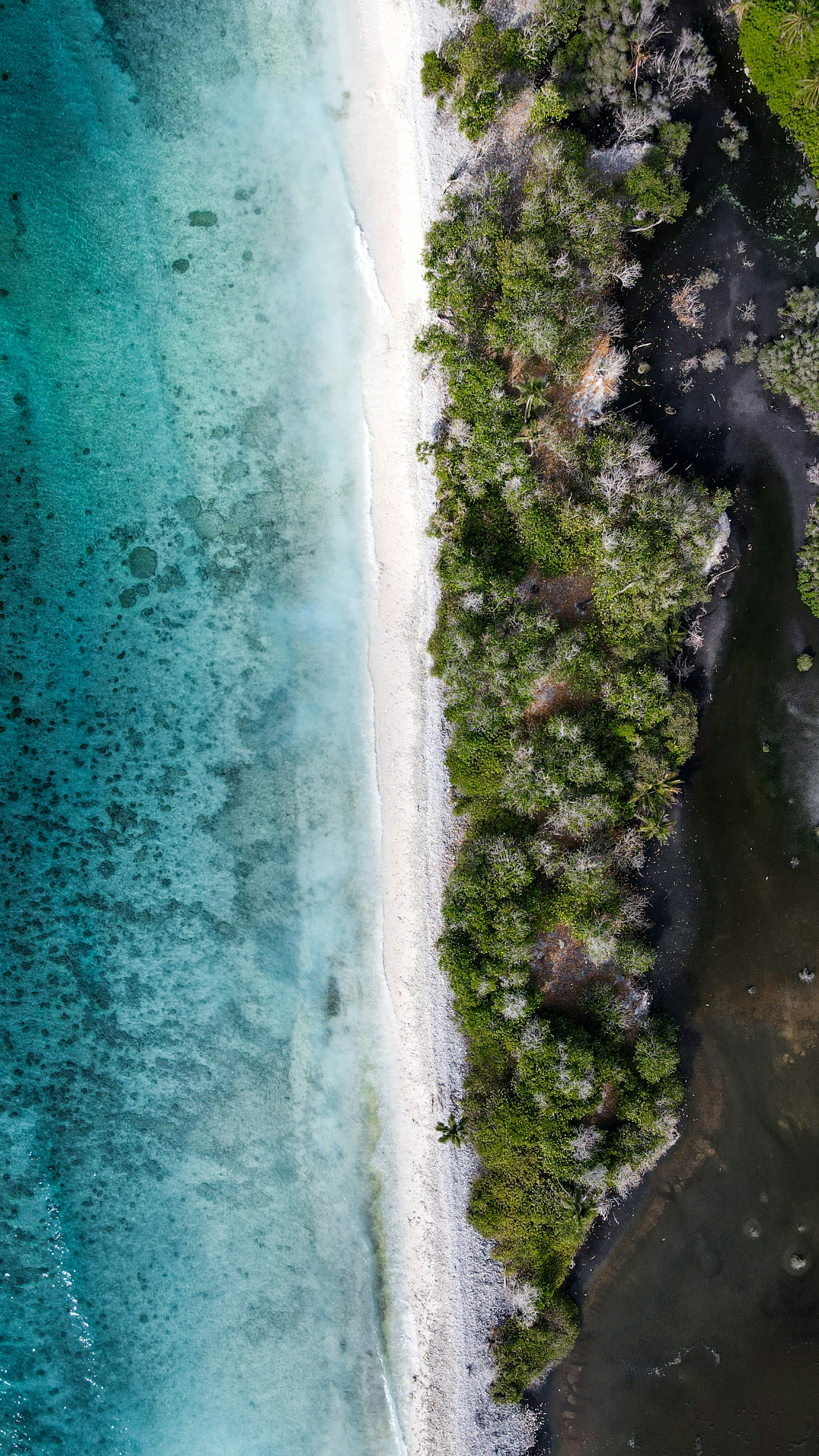 Foto Una vista aérea de una playa y un cuerpo de agua – Imagen ...