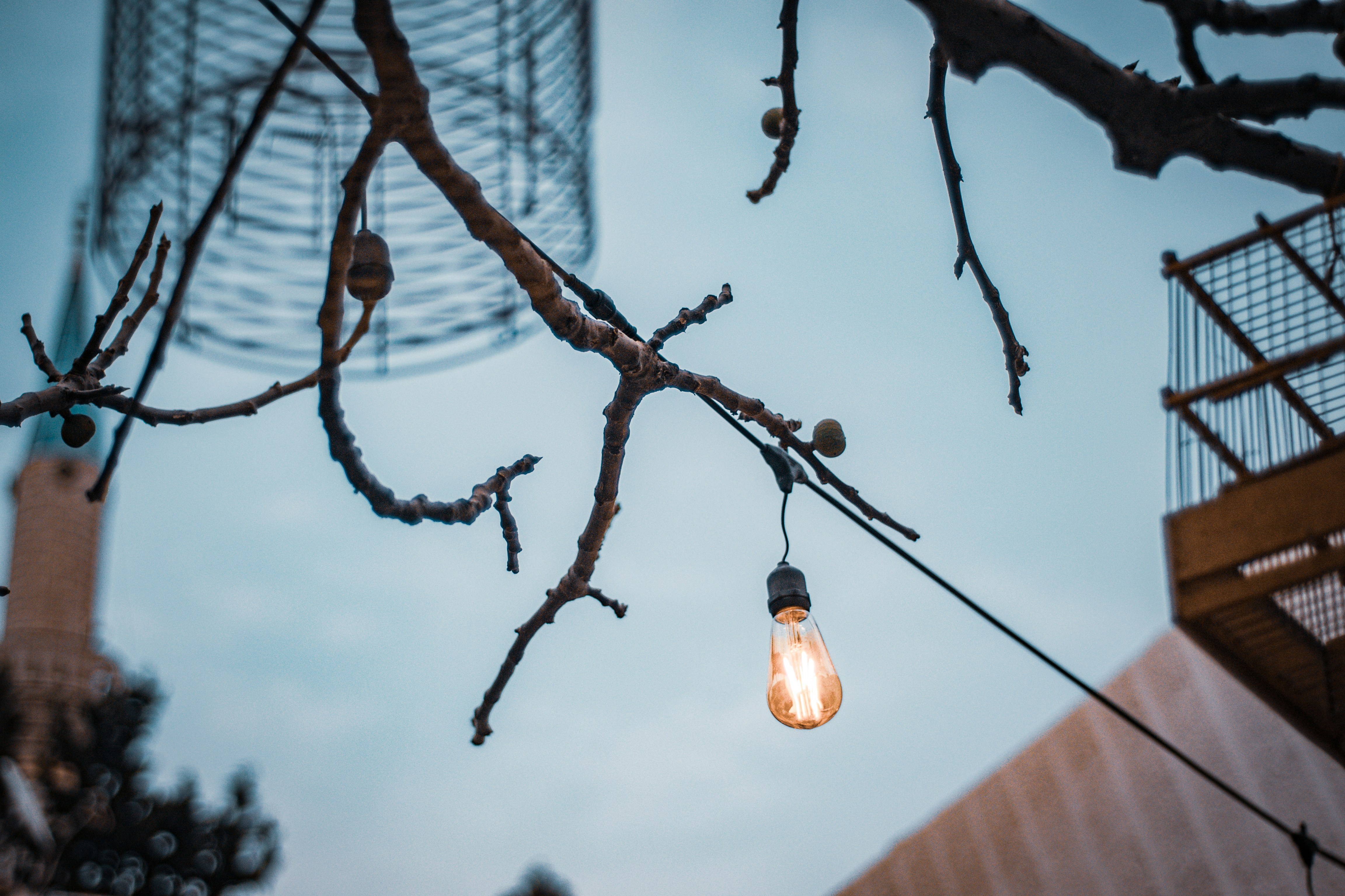 A glowing light bulb hangs from a bare branch against a soft blue sky, creating a serene ambiance in an urban setting.