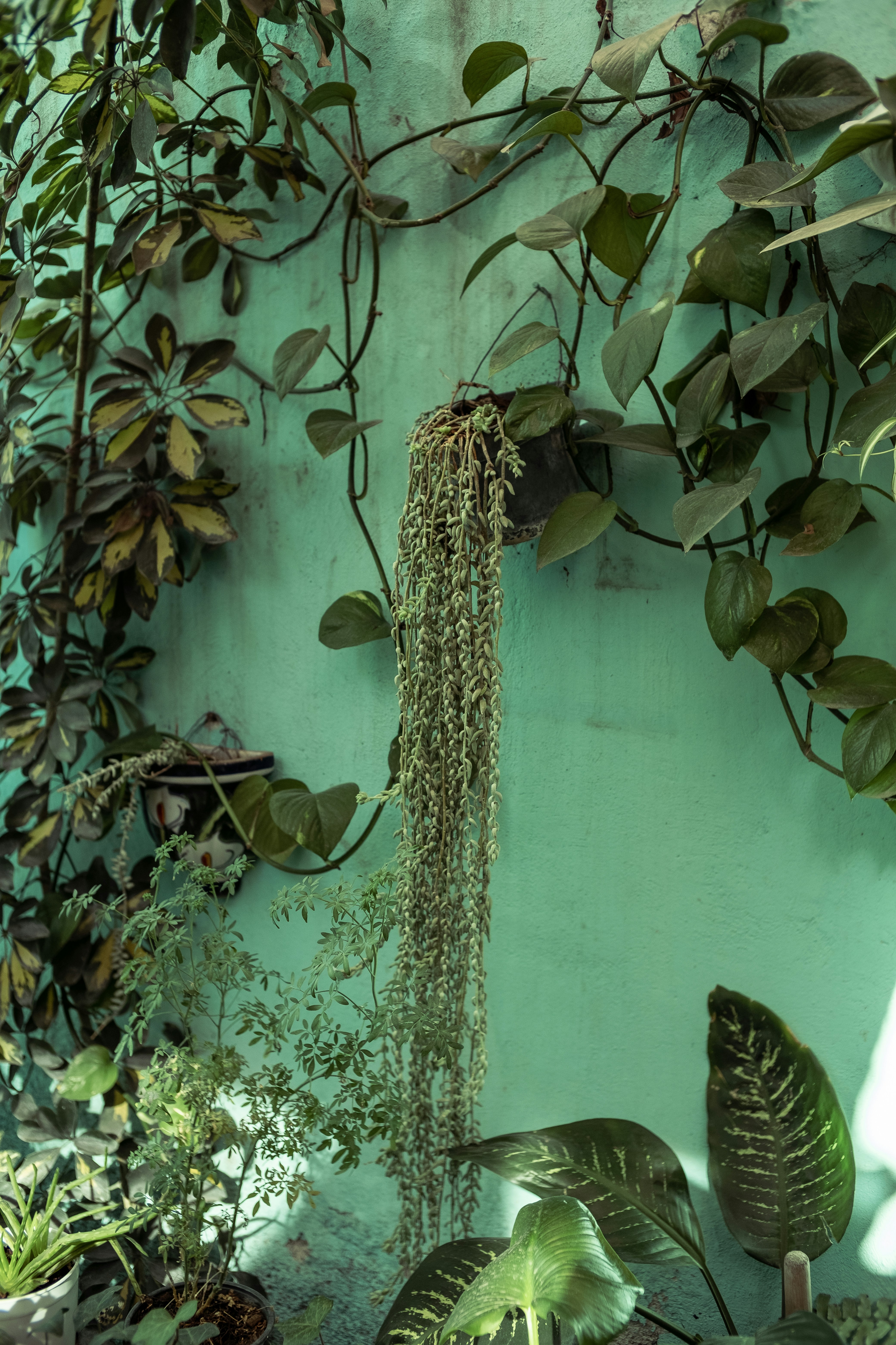 Photo by Alex Quezada with Fujifilm X-T30 II