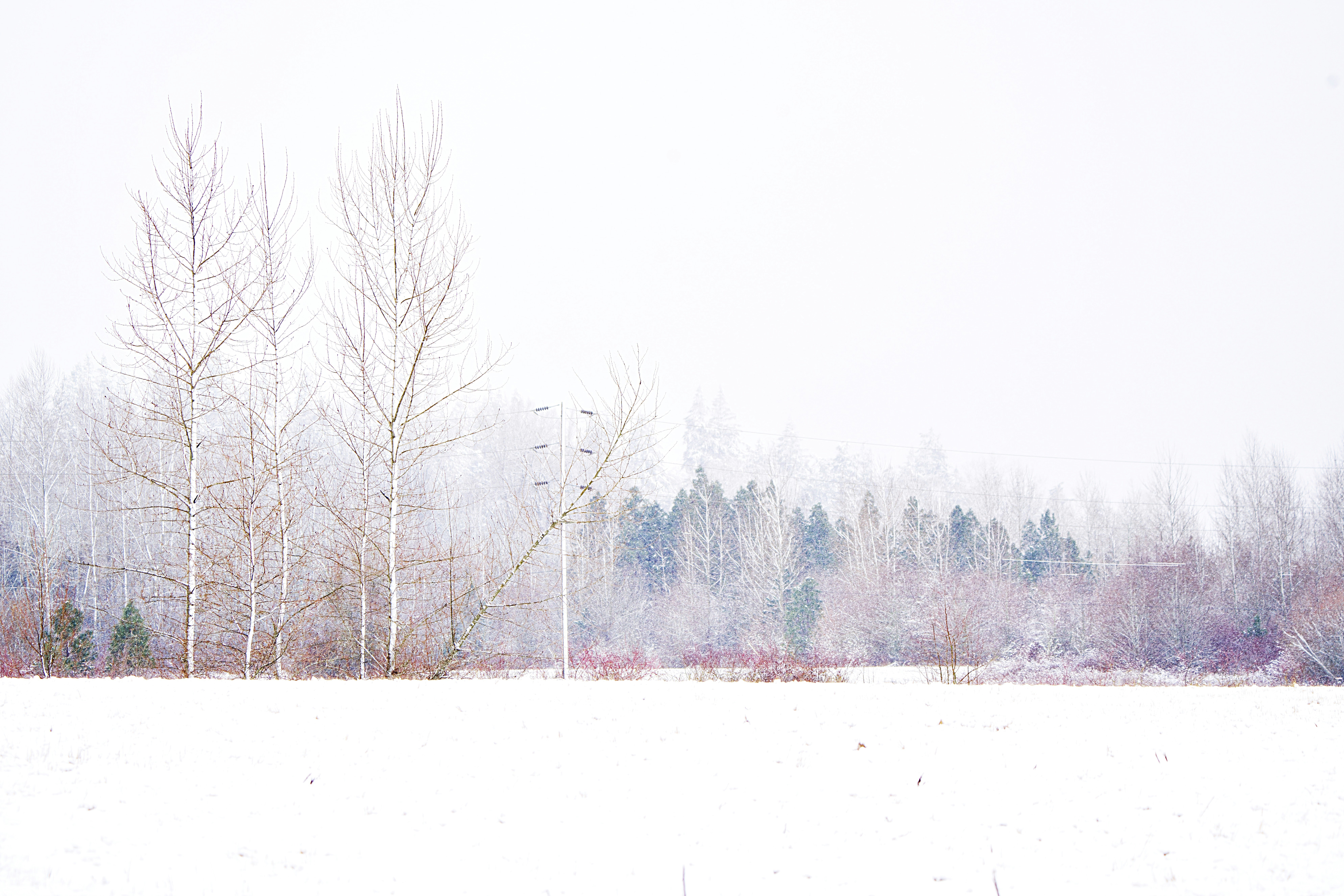 Snow outside at the park