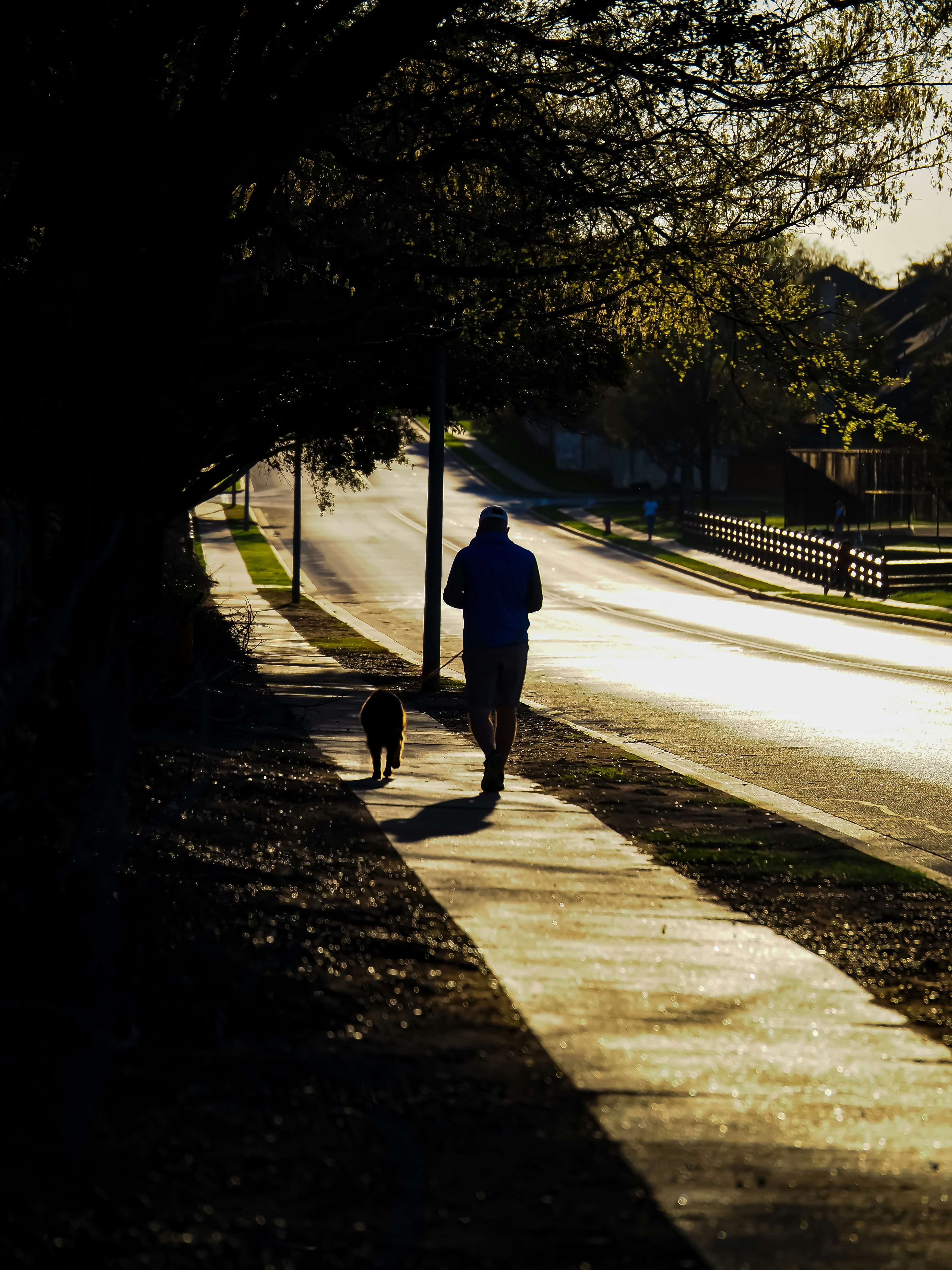 Stroke of Light on a Quiet Street: A Jogger and Dog in Golden Hour