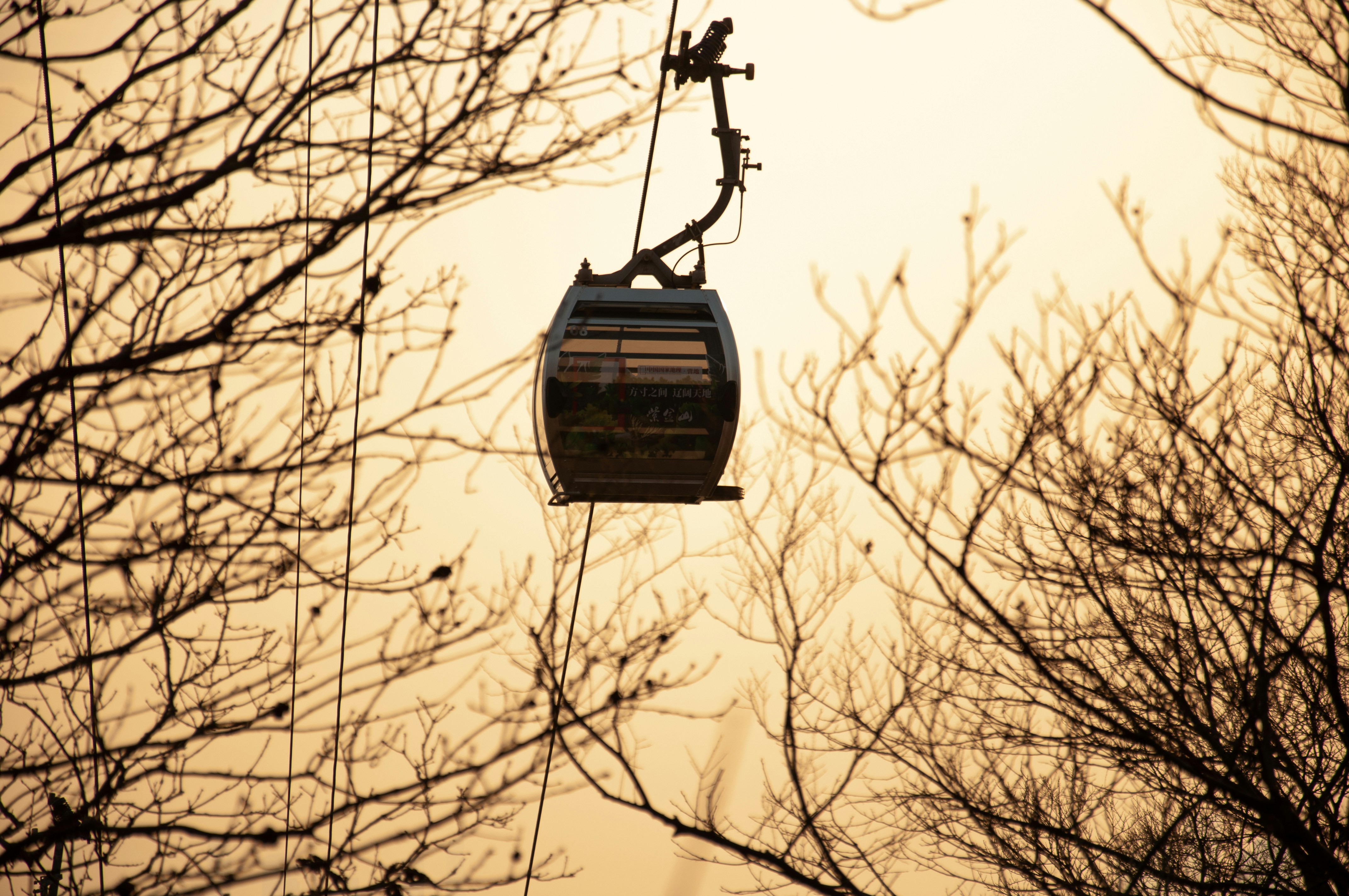 Suspended in Twilight: The Silent Ascent