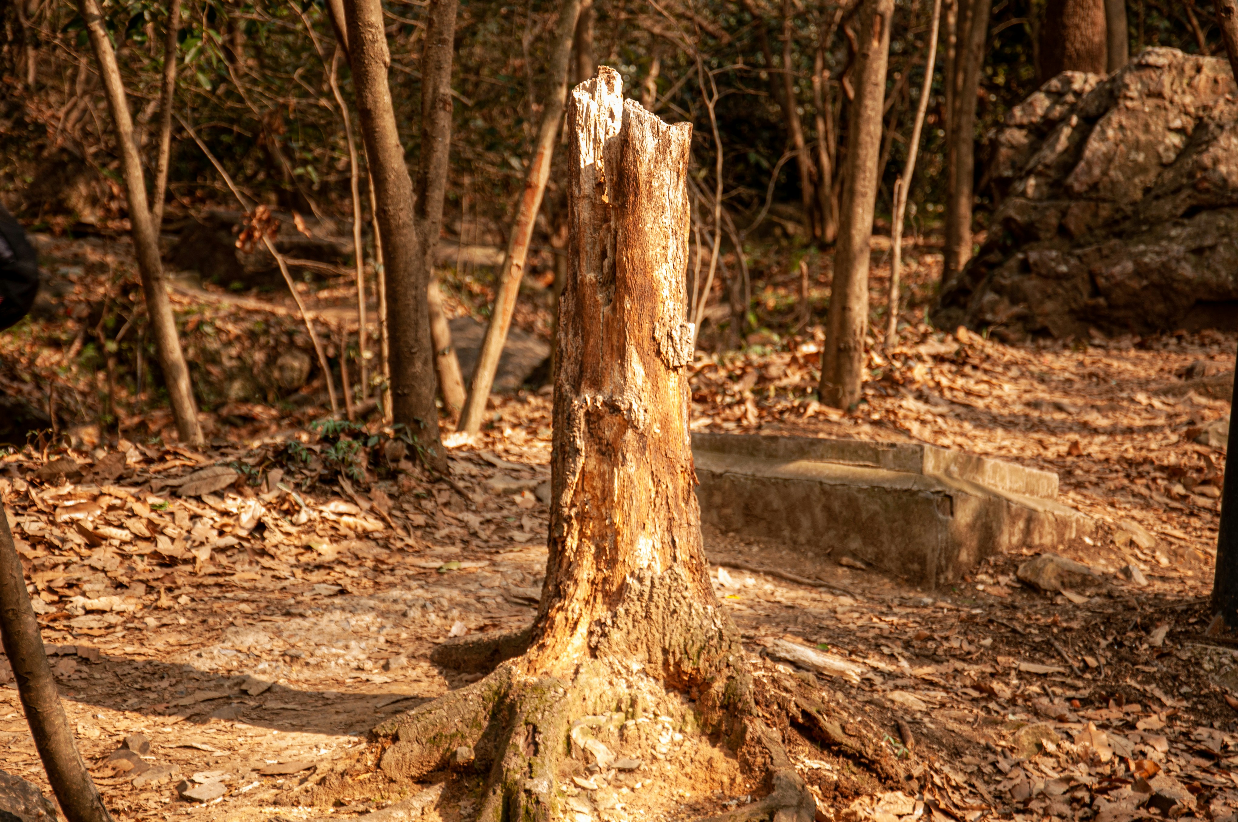 Photo by Xuancong Meng with Nikon D90