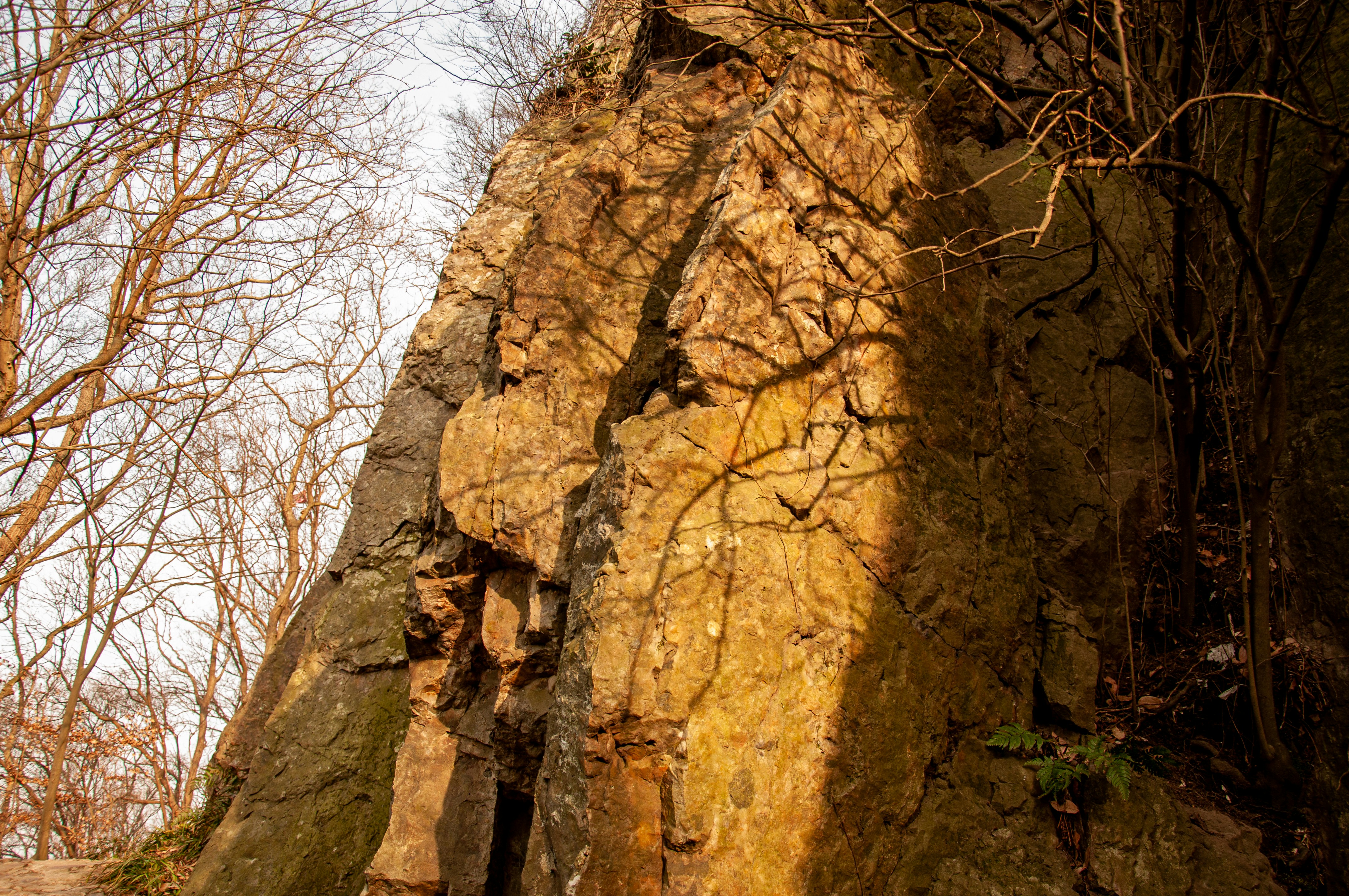 a person climbing up a rock face with trees in the background