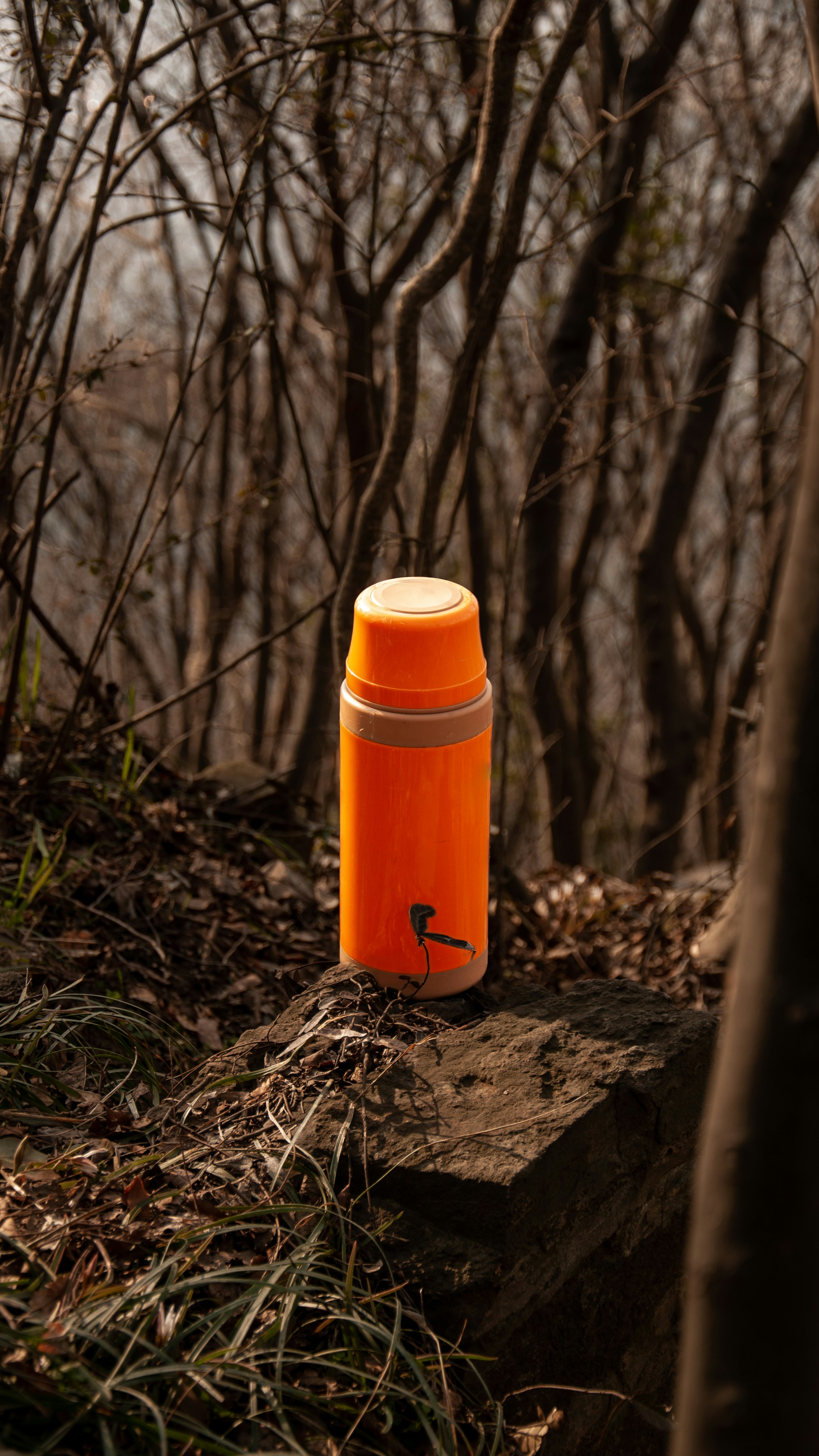 Orange Thermos in a Quiet Forest Dawn