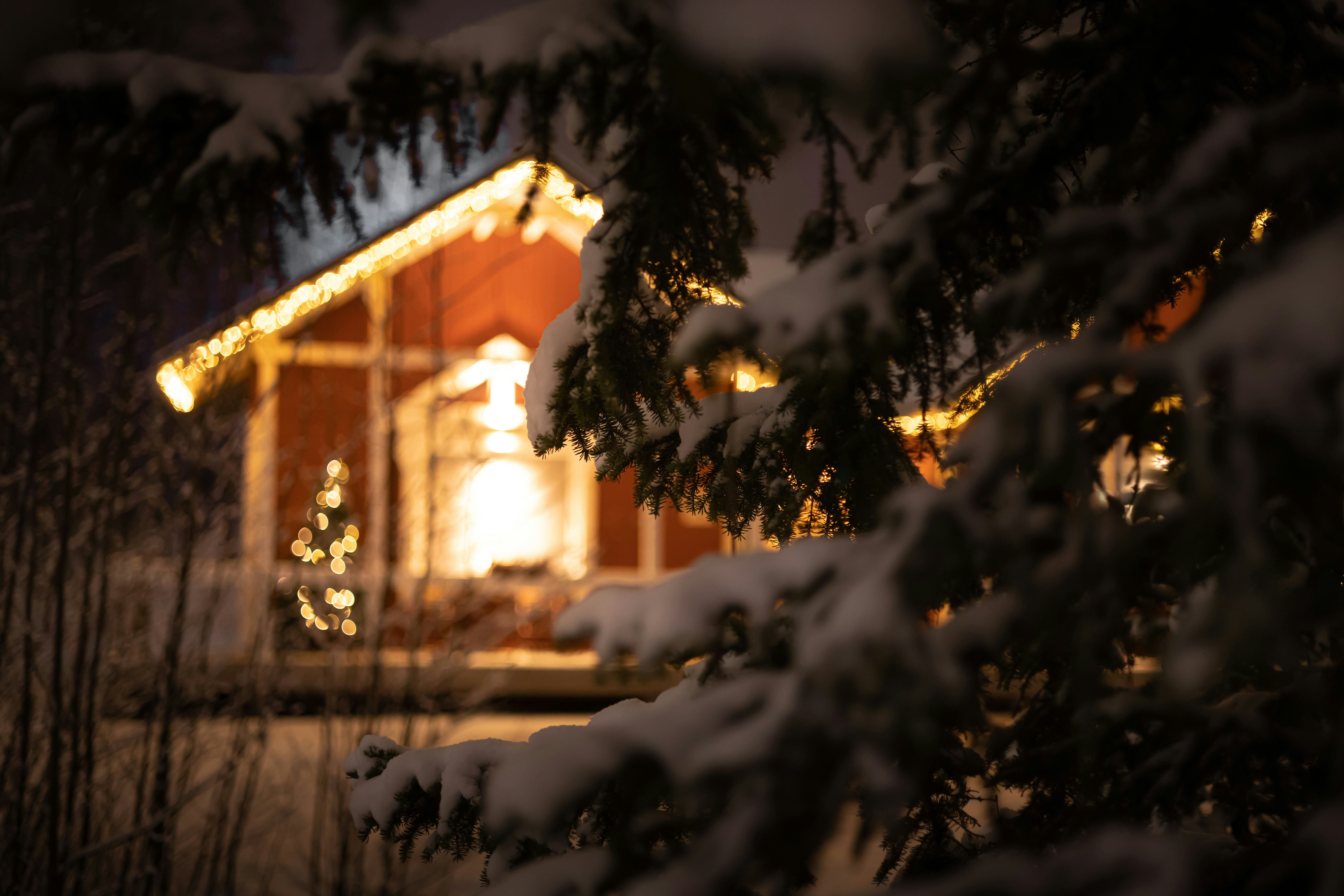 Warm Lights Framing a Snow-Cloaked Chalet Through Frosted Branches