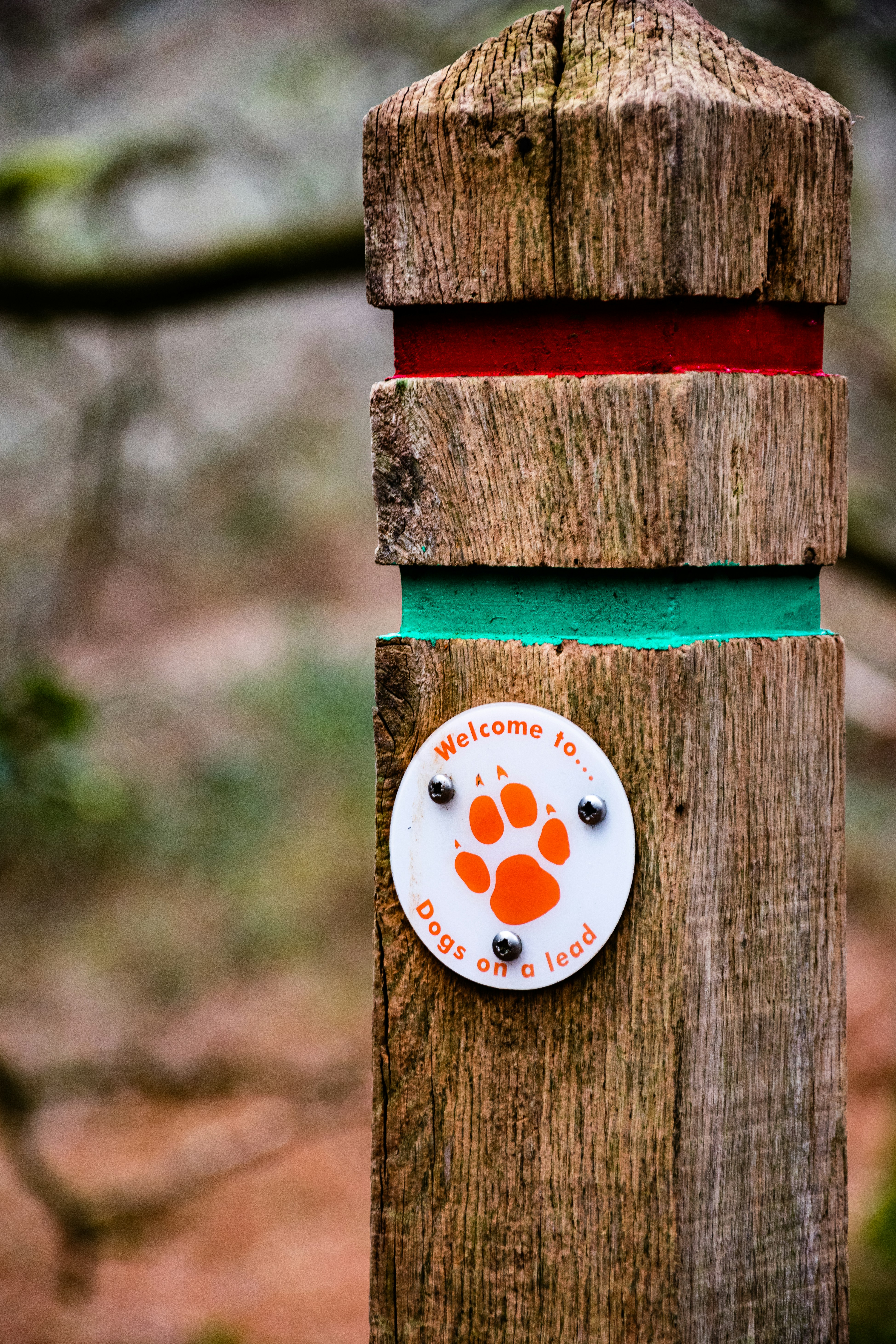 wooden path checkpoint