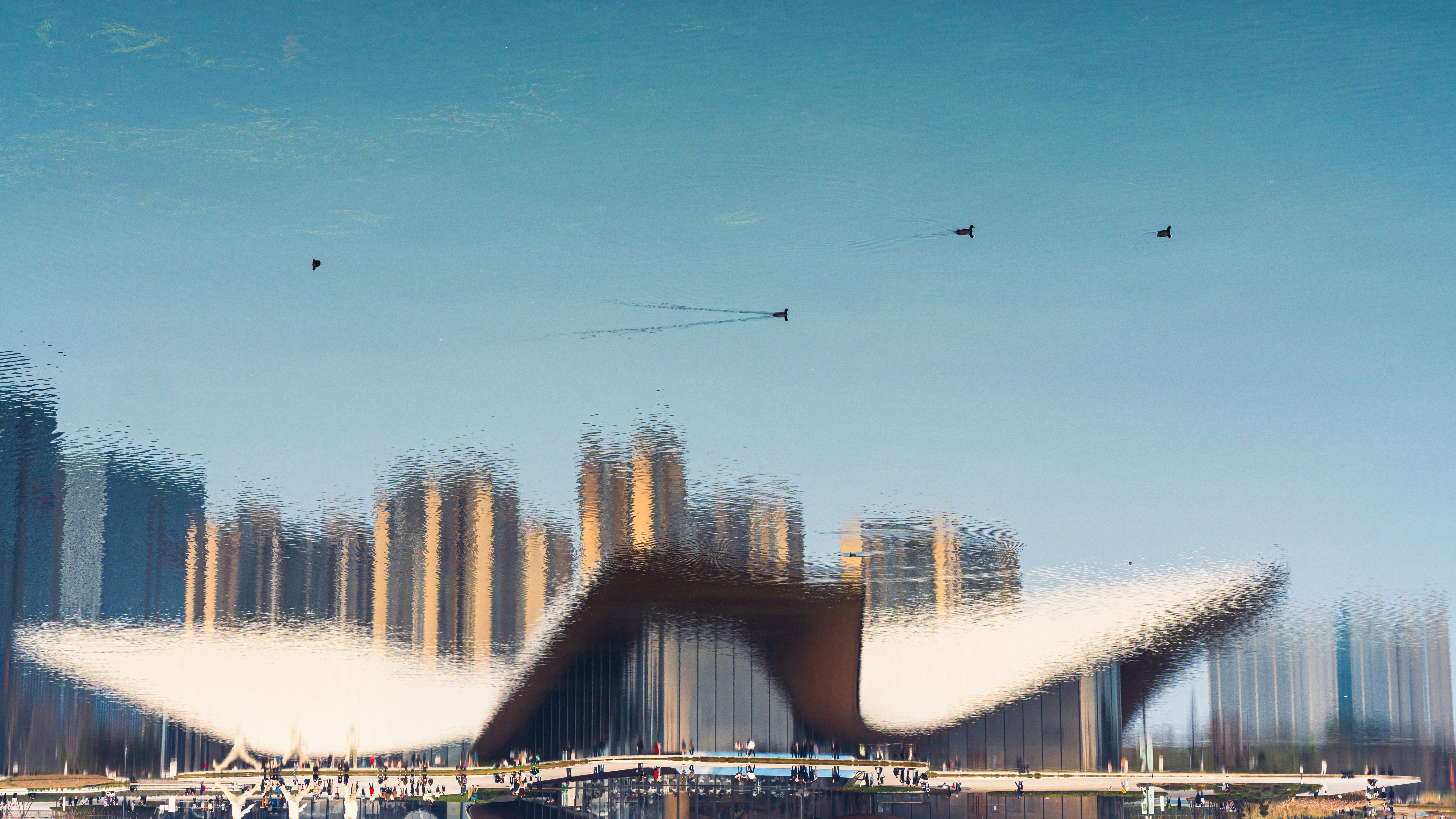 Canopy Sails Over a Glass Harbor: Echoes of the Distant Skyline