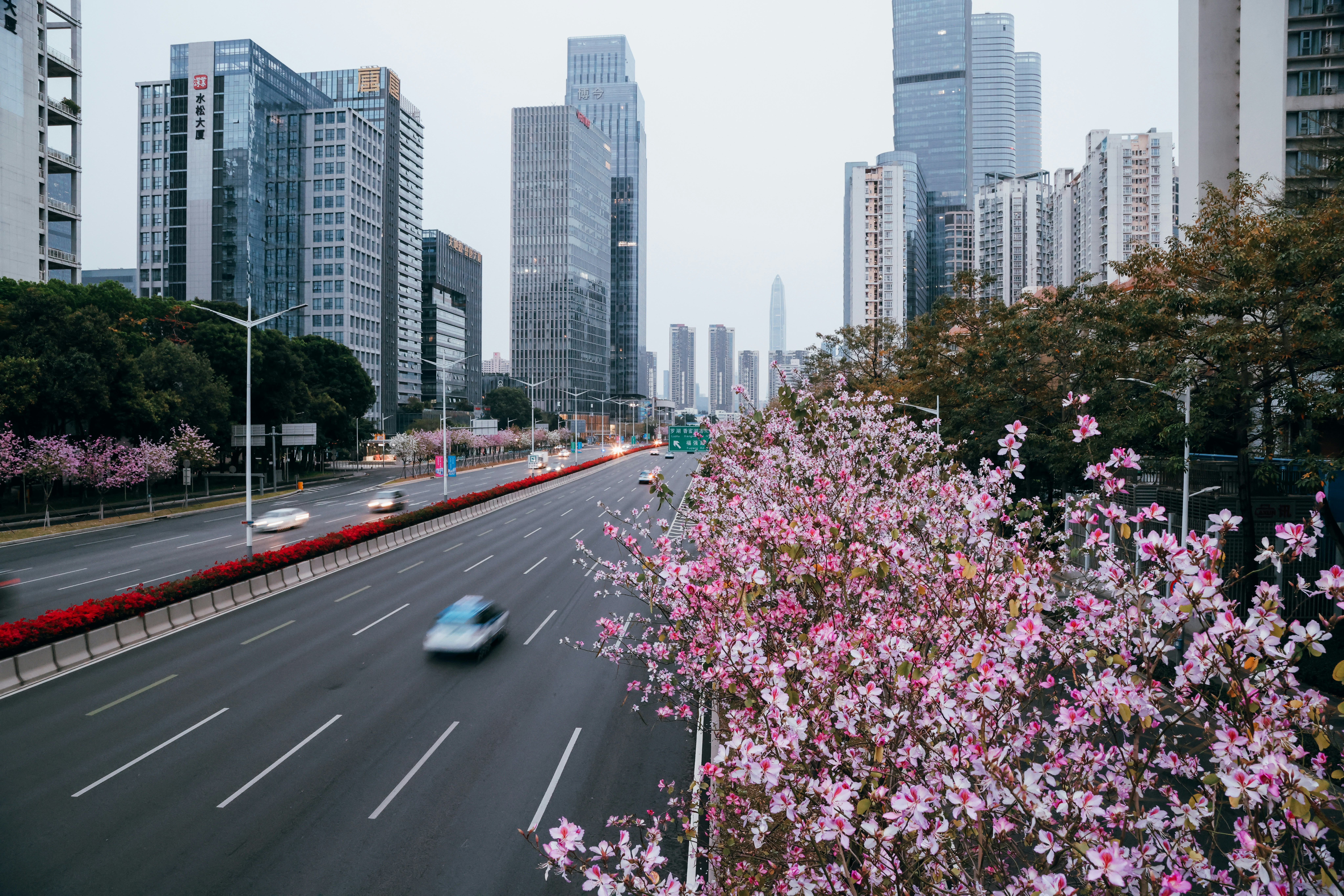 a car driving down a street next to tall buildings