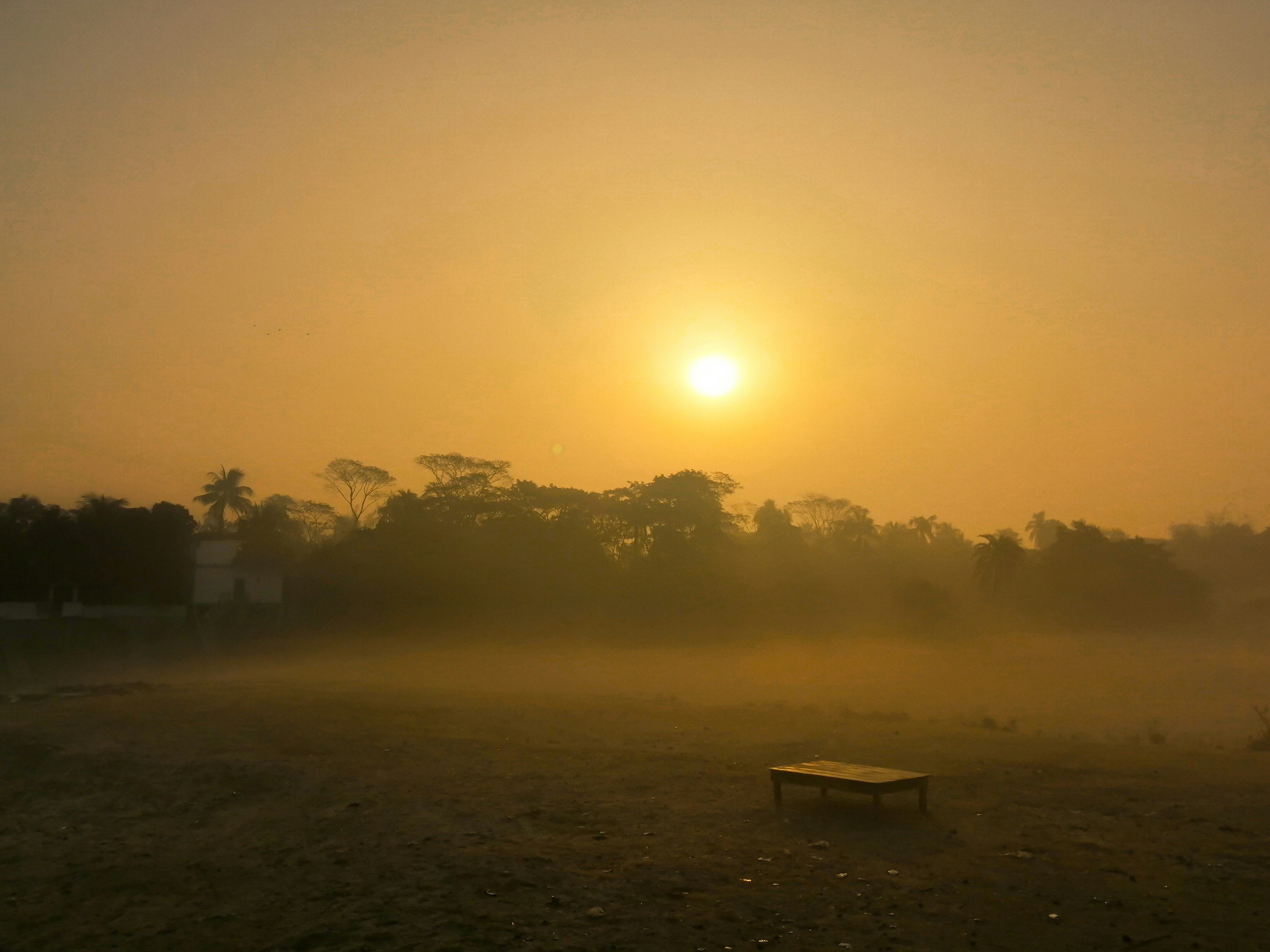 Quiet Field at Dusk: Fog Lingers Beneath a Dusky Sun