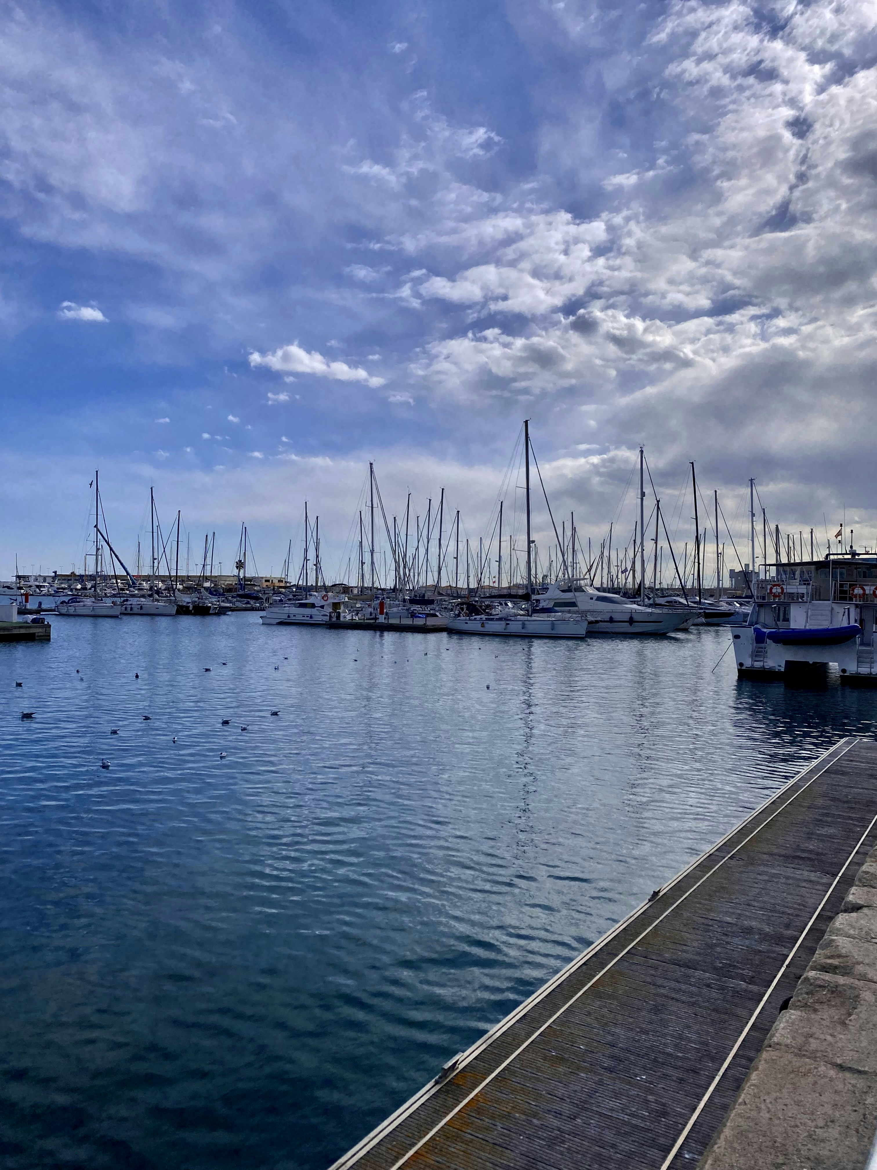 Tim Agaev (@endy220) | Unsplash Photo Community