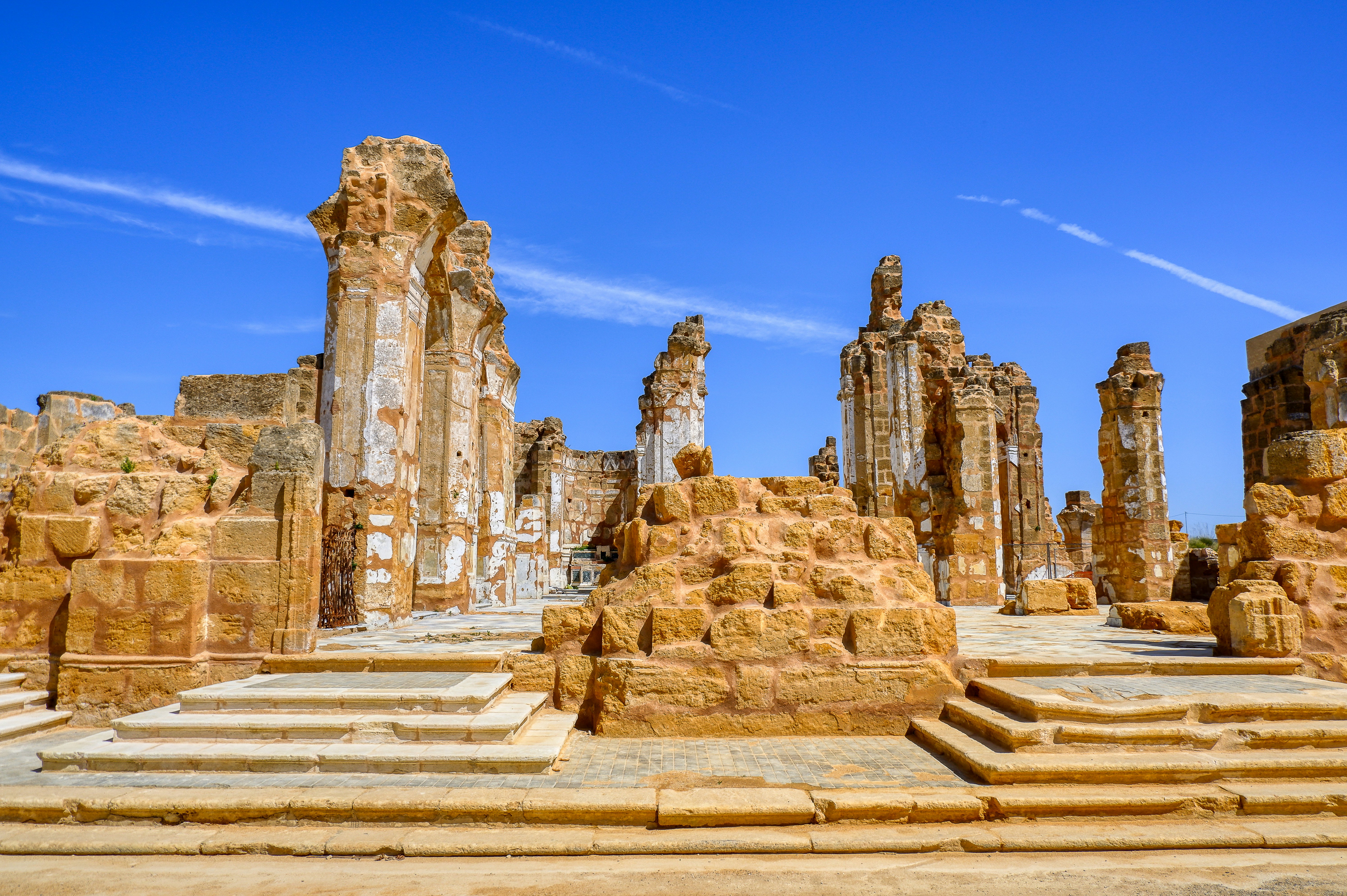 The ruins of the ancient city of palmyran photo – Free Montevago Image ...