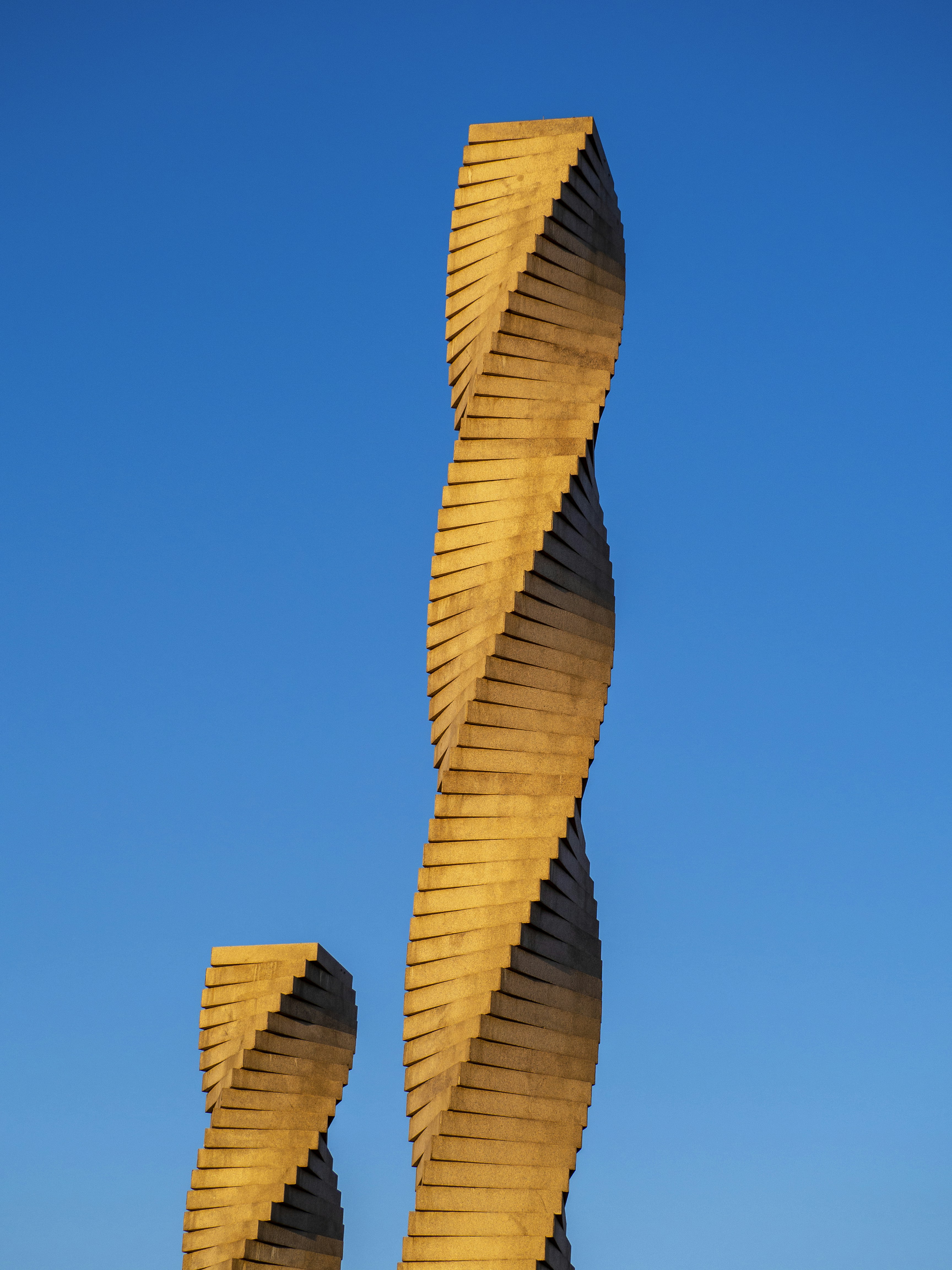 Sunlit Helixes: Twin Golden Spirals Reaching Toward the Sky