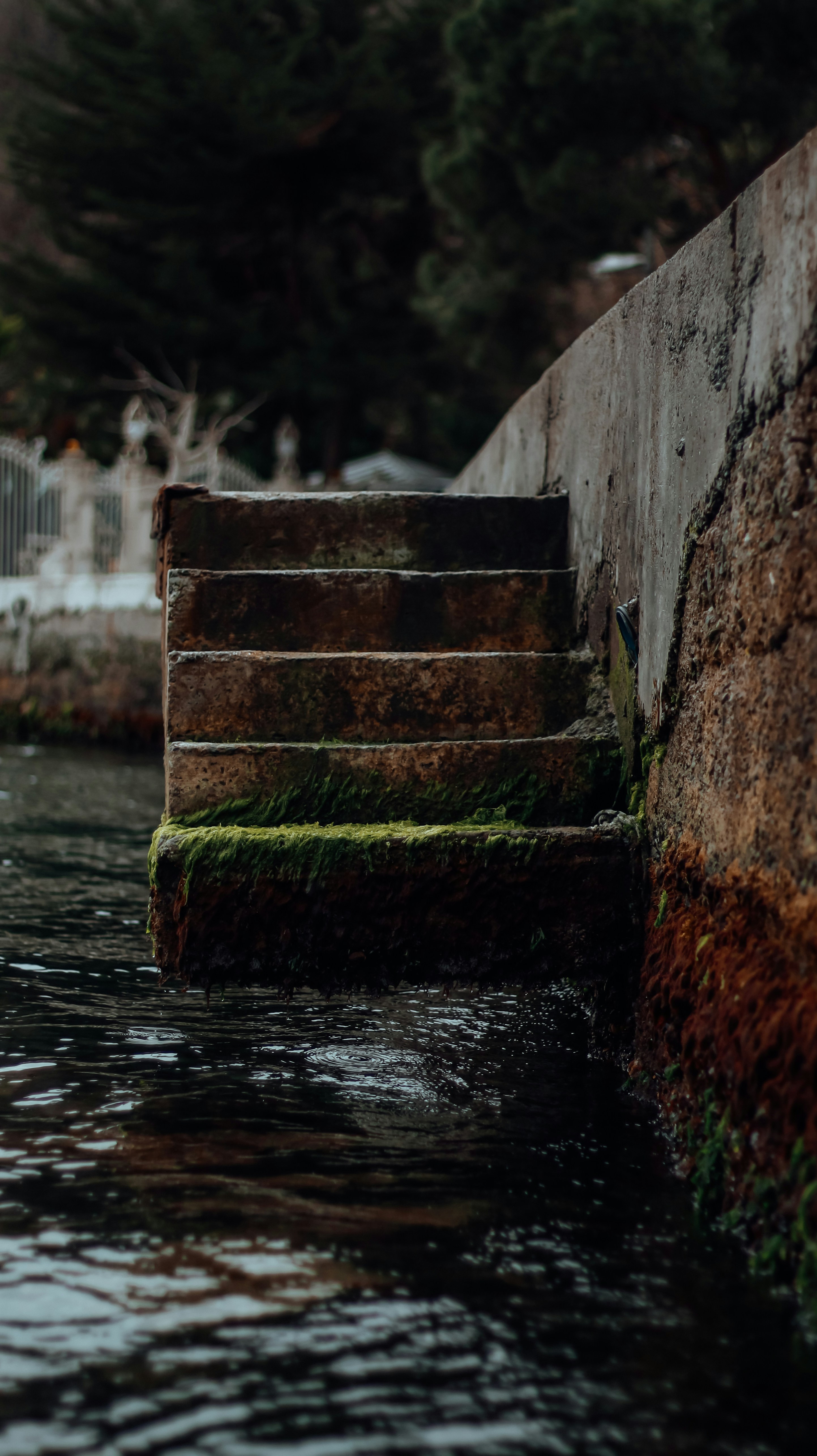 Ladder to the ground