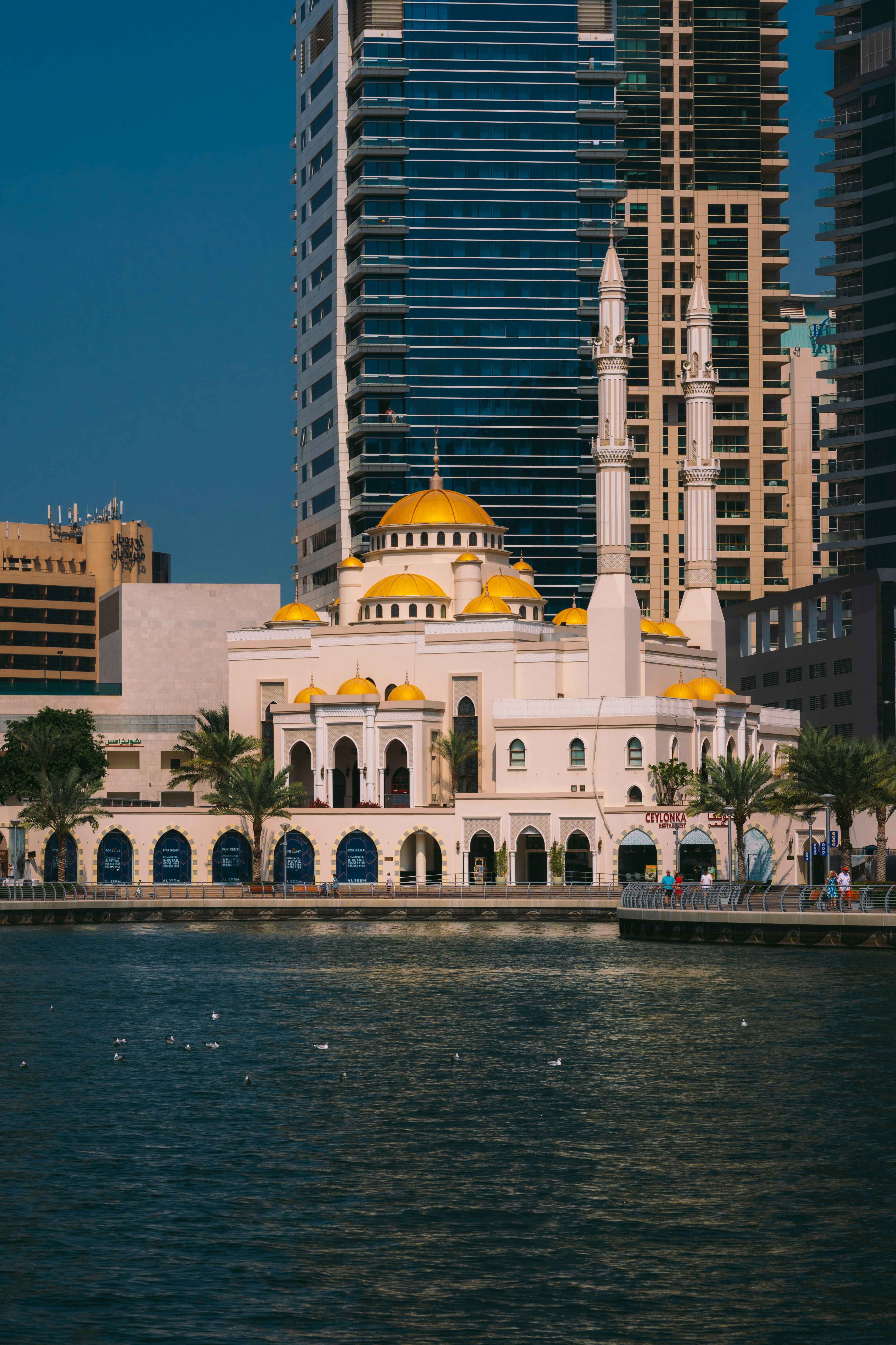 Photo by Mubaris Nendukanni with Sony Alpha 6600