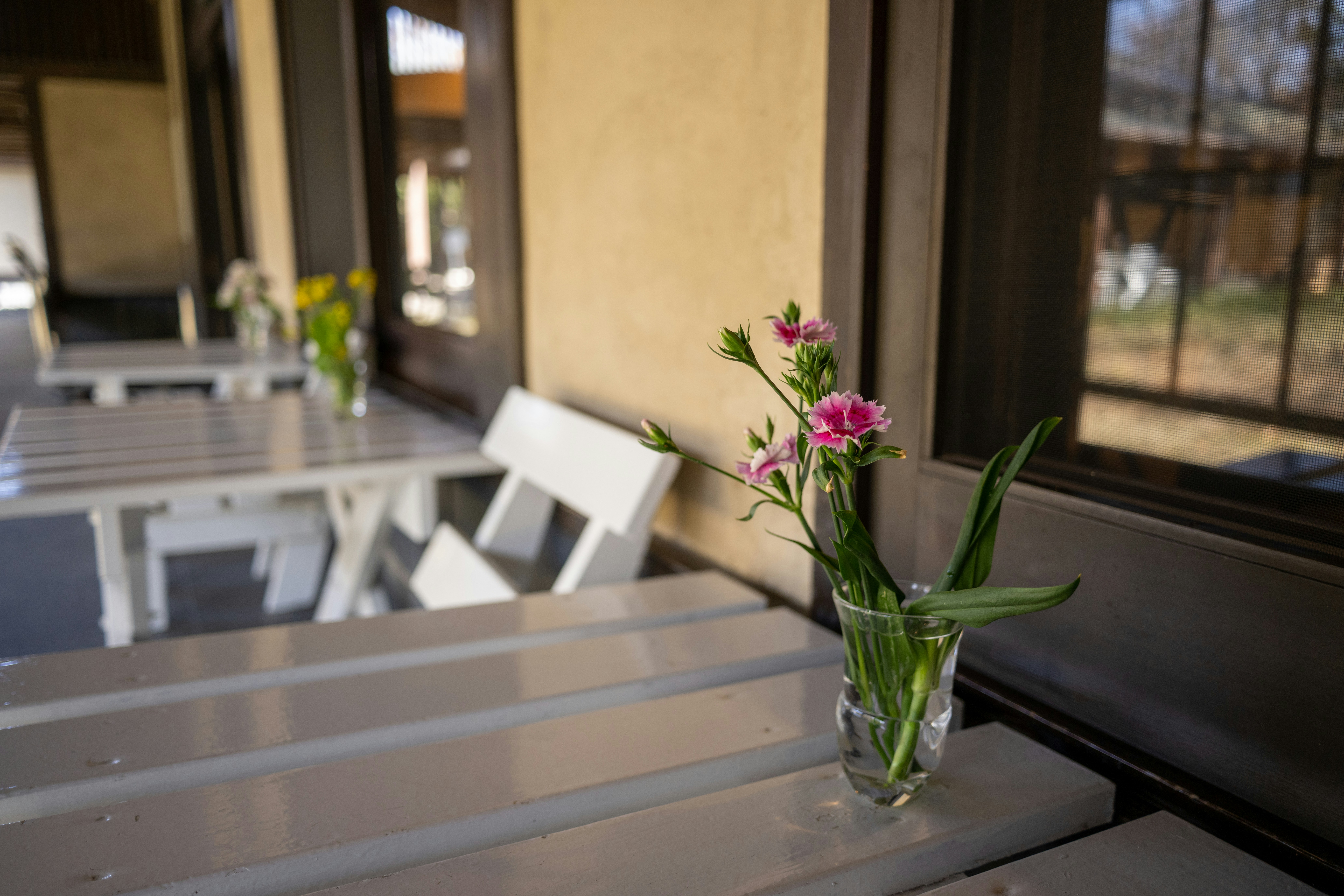 Pink Carnations on a Quiet Cafe Terrace