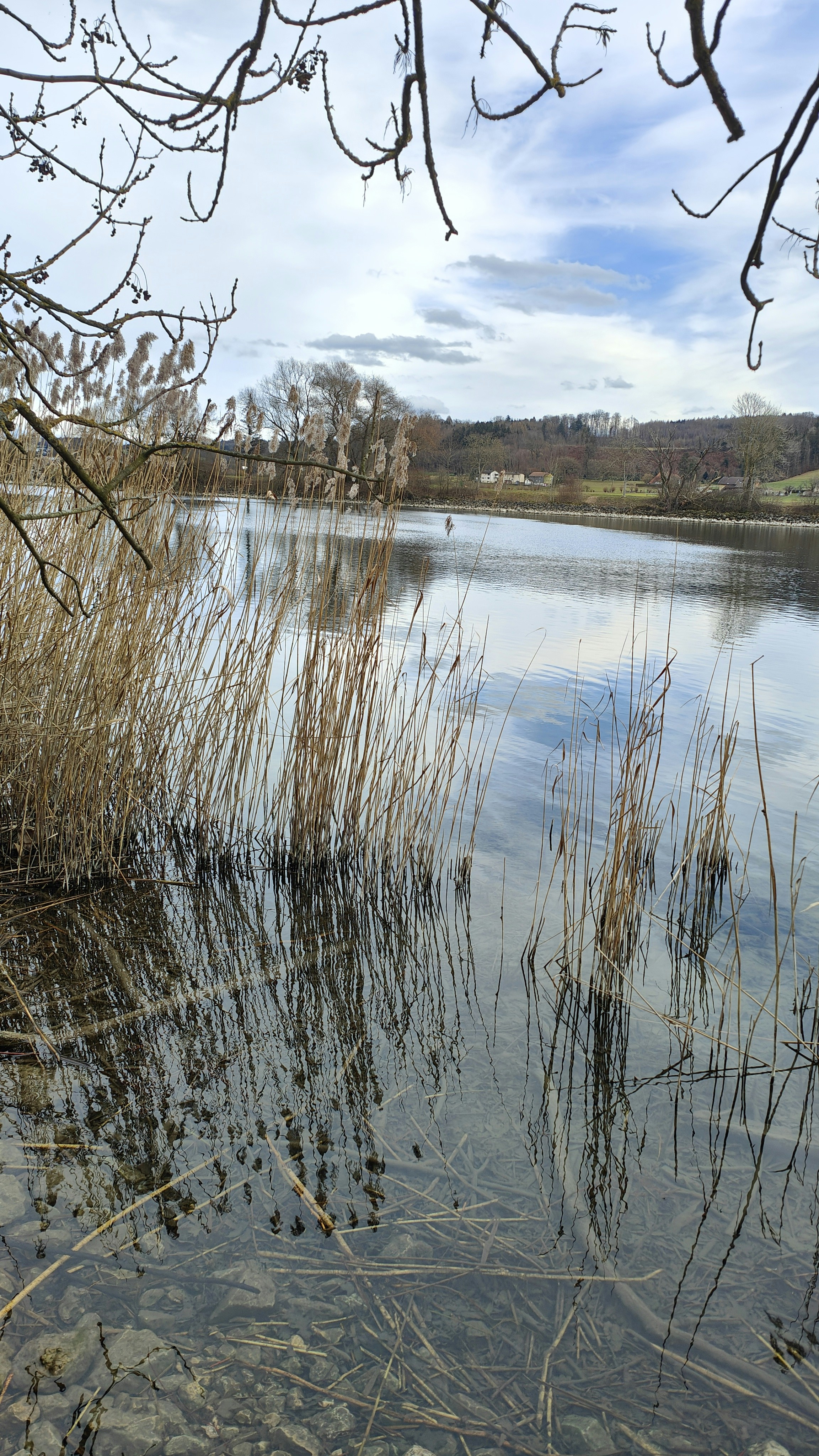 Photo by Barbara Binggeli with Oppo Find X5 Pro