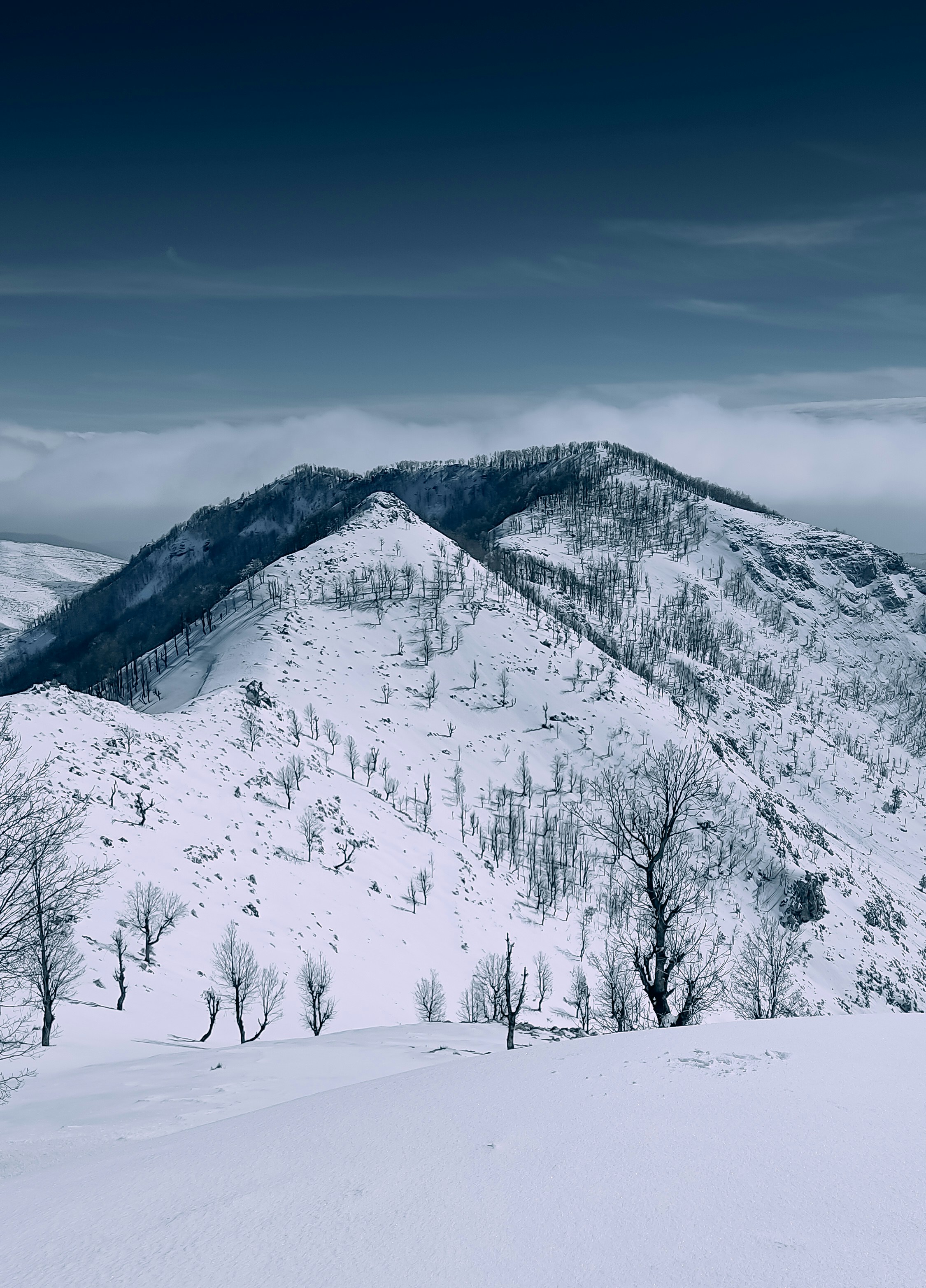 Snow-covered ridge threads across a quiet alpine landscape, dotted with bare trees. This photograph captures the vast winter scale and the crisp textures of snow and stone.