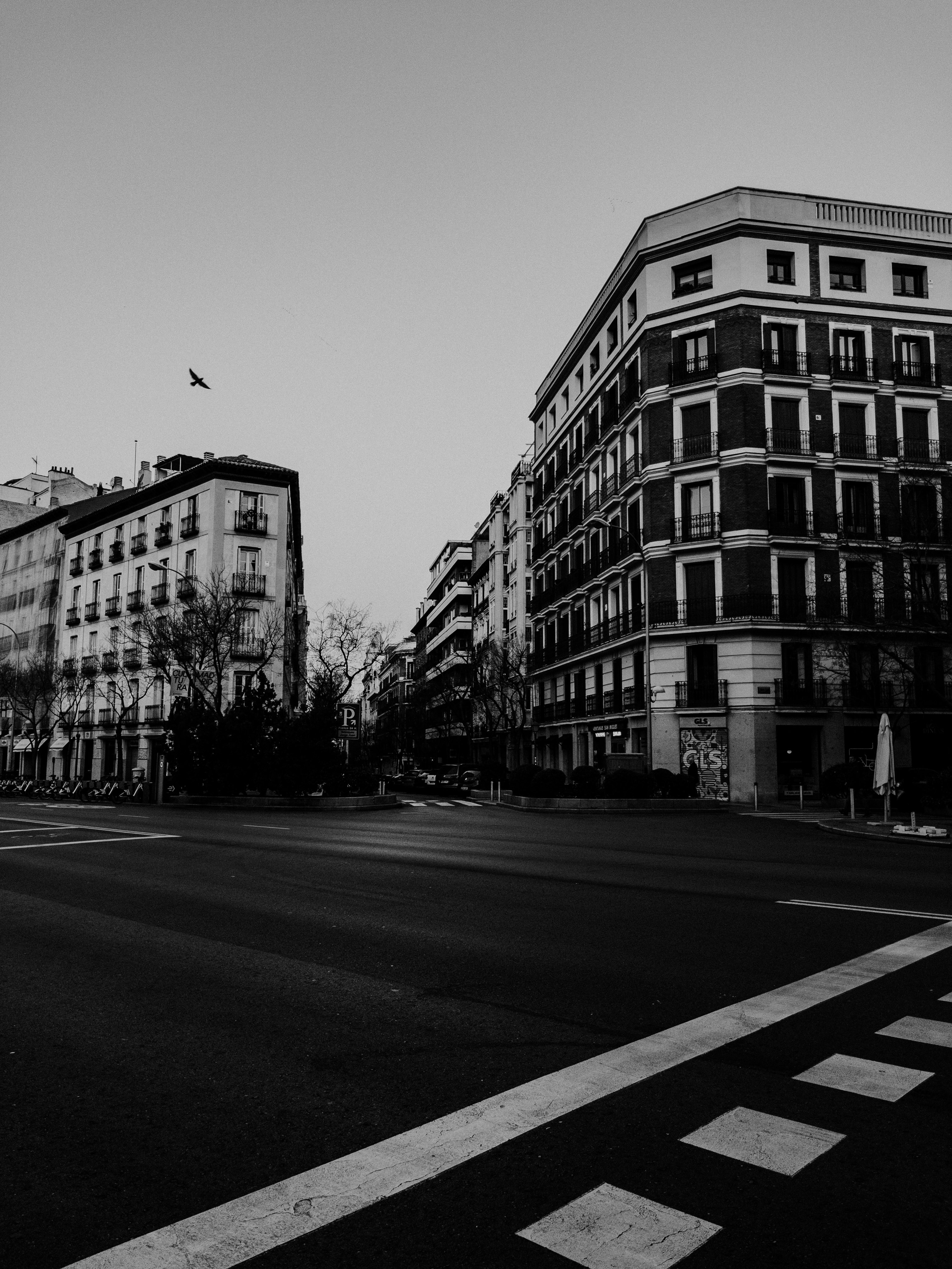 Streets of Madrid in Black & White