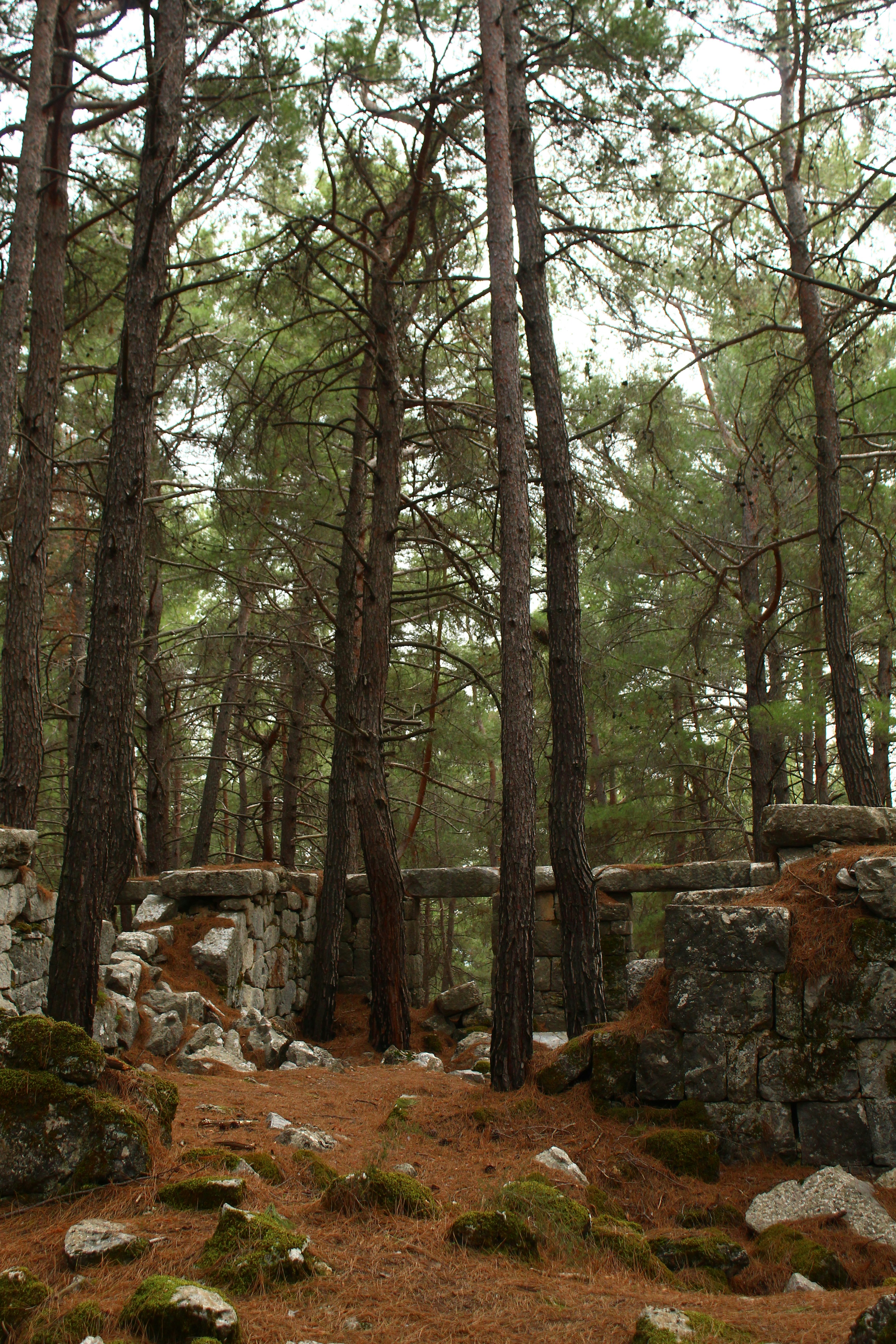 Captured on 04.03.2023