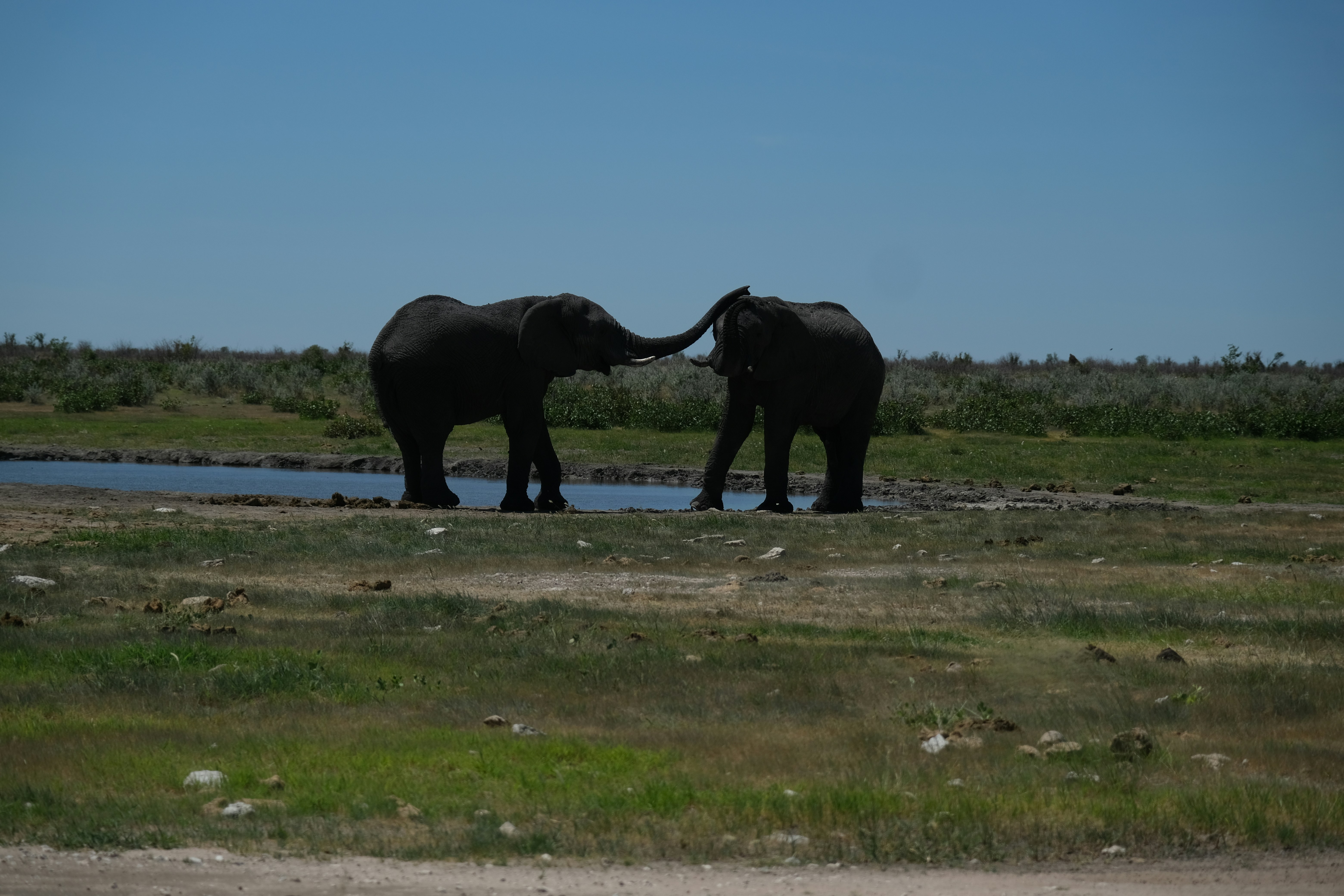 Photo by Andreea Munteanu with Fujifilm X-T3