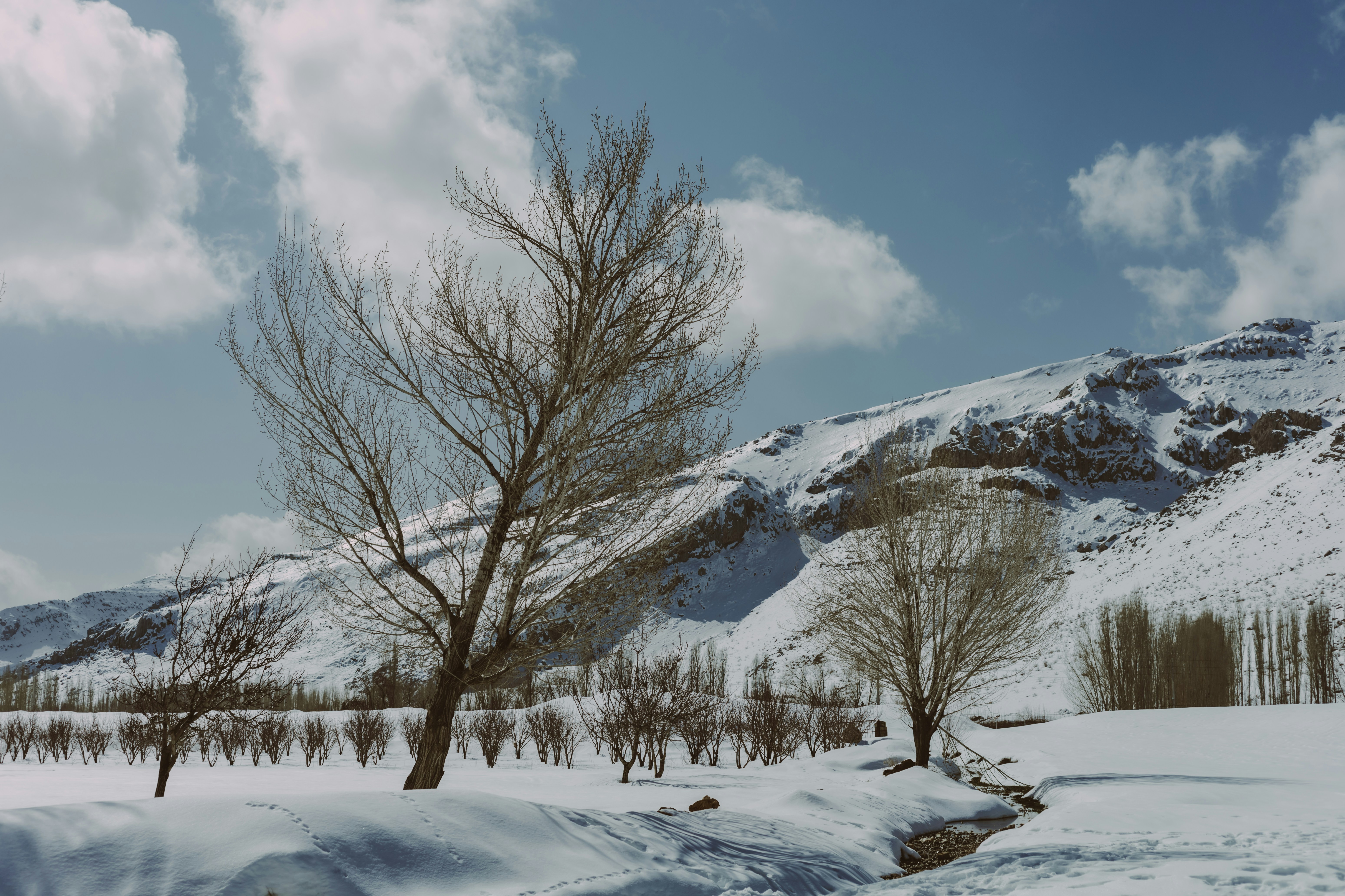 Whispering Winter Horizonsimmhmd