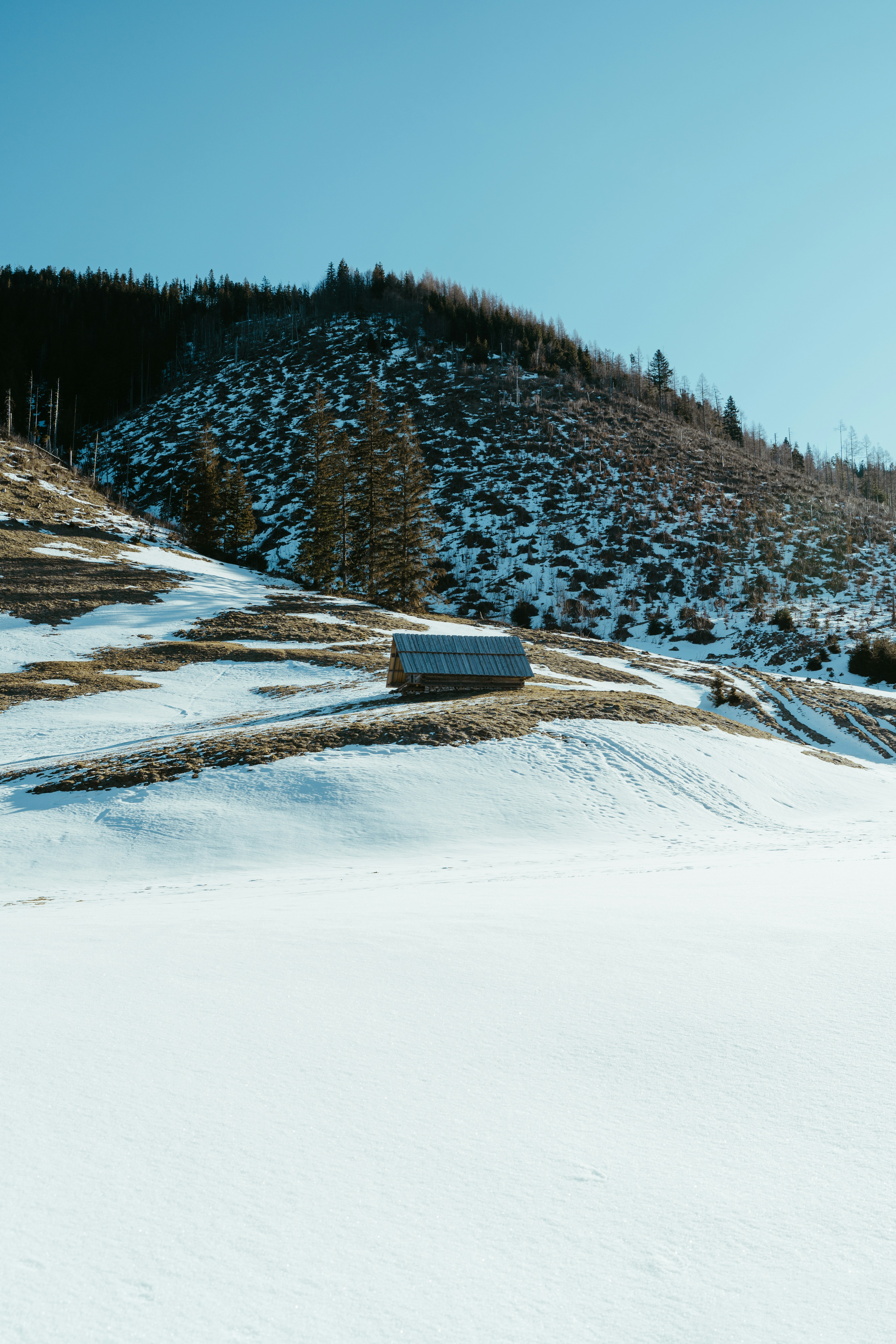 A rustic cabin nestled in a snow-covered landscape, surrounded by gently rolling hills and a backdrop of forested slopes. The clear blue sky enhances the serene winter atmosphere.