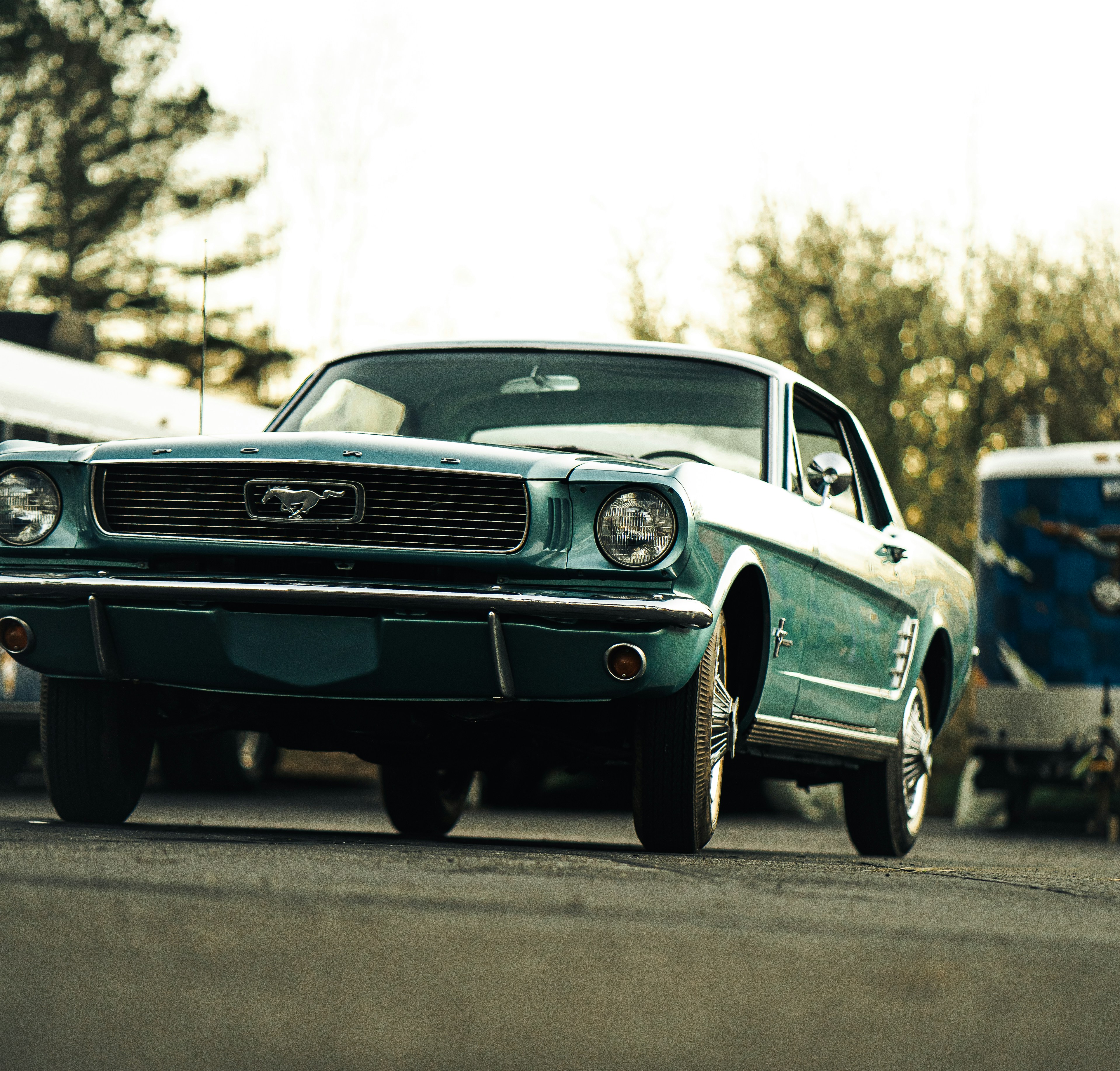 A green mustang parked in a parking lot photo – Free Car Image on Unsplash