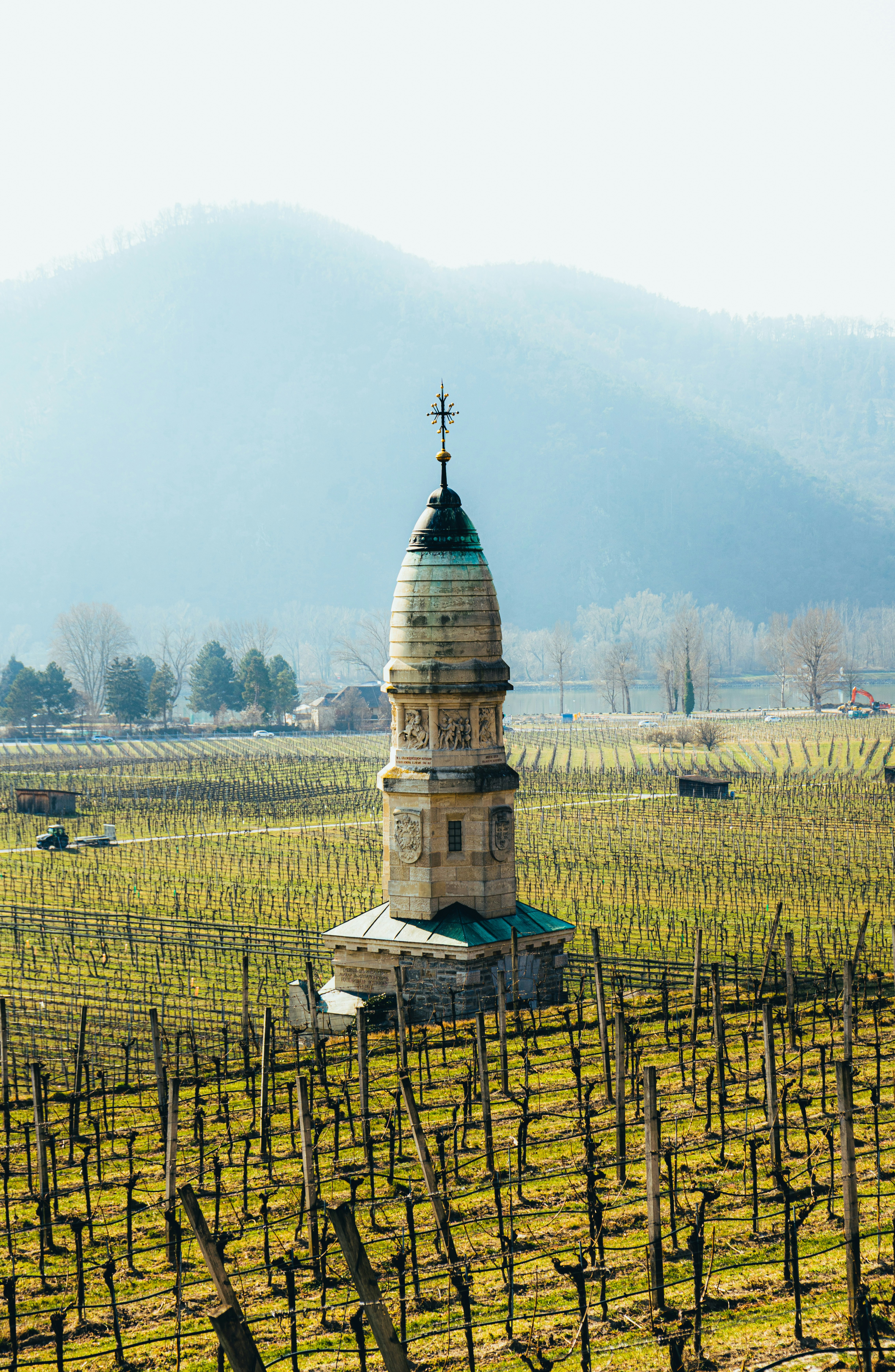 Vineyard Sentinel: A Lone Turret Rising Above the Rows